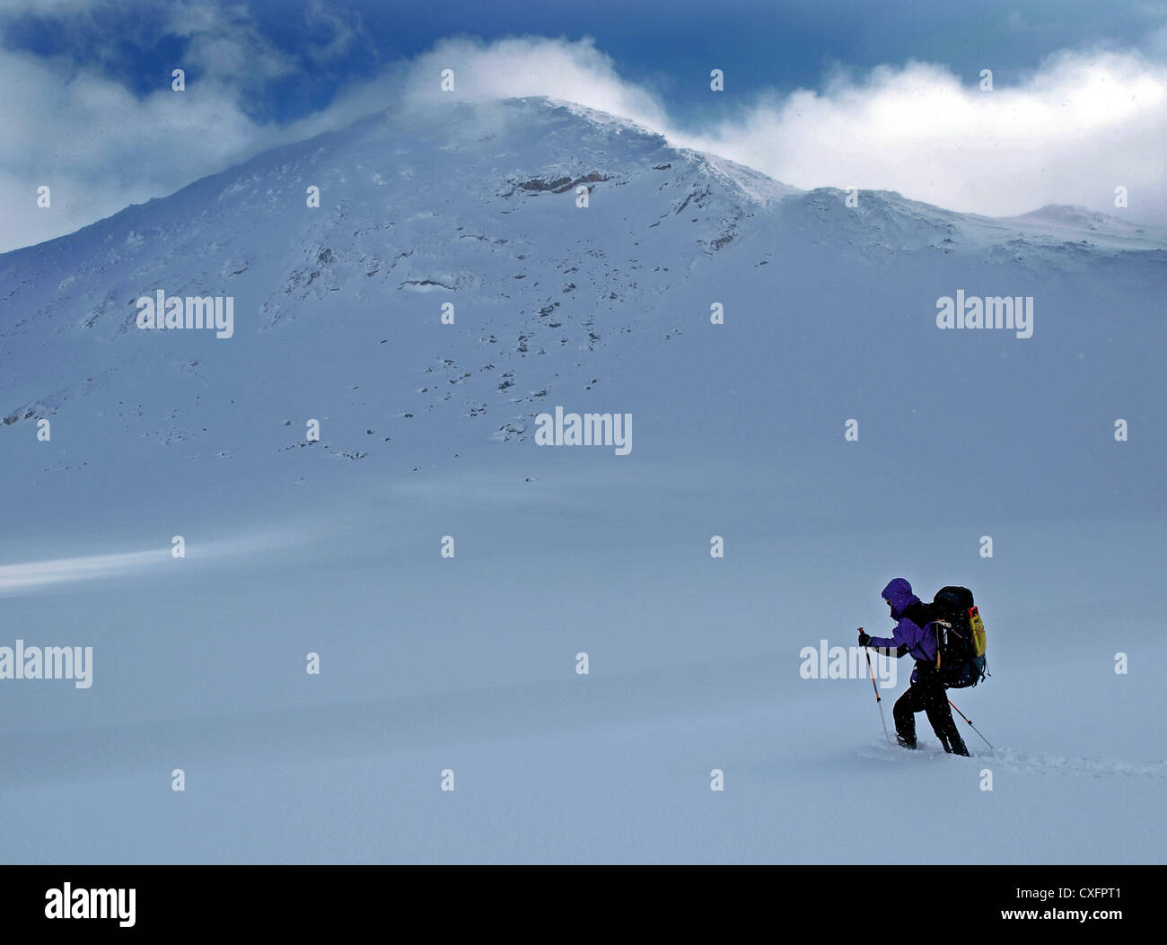 Breaking trail hi-res stock photography and images - Alamy