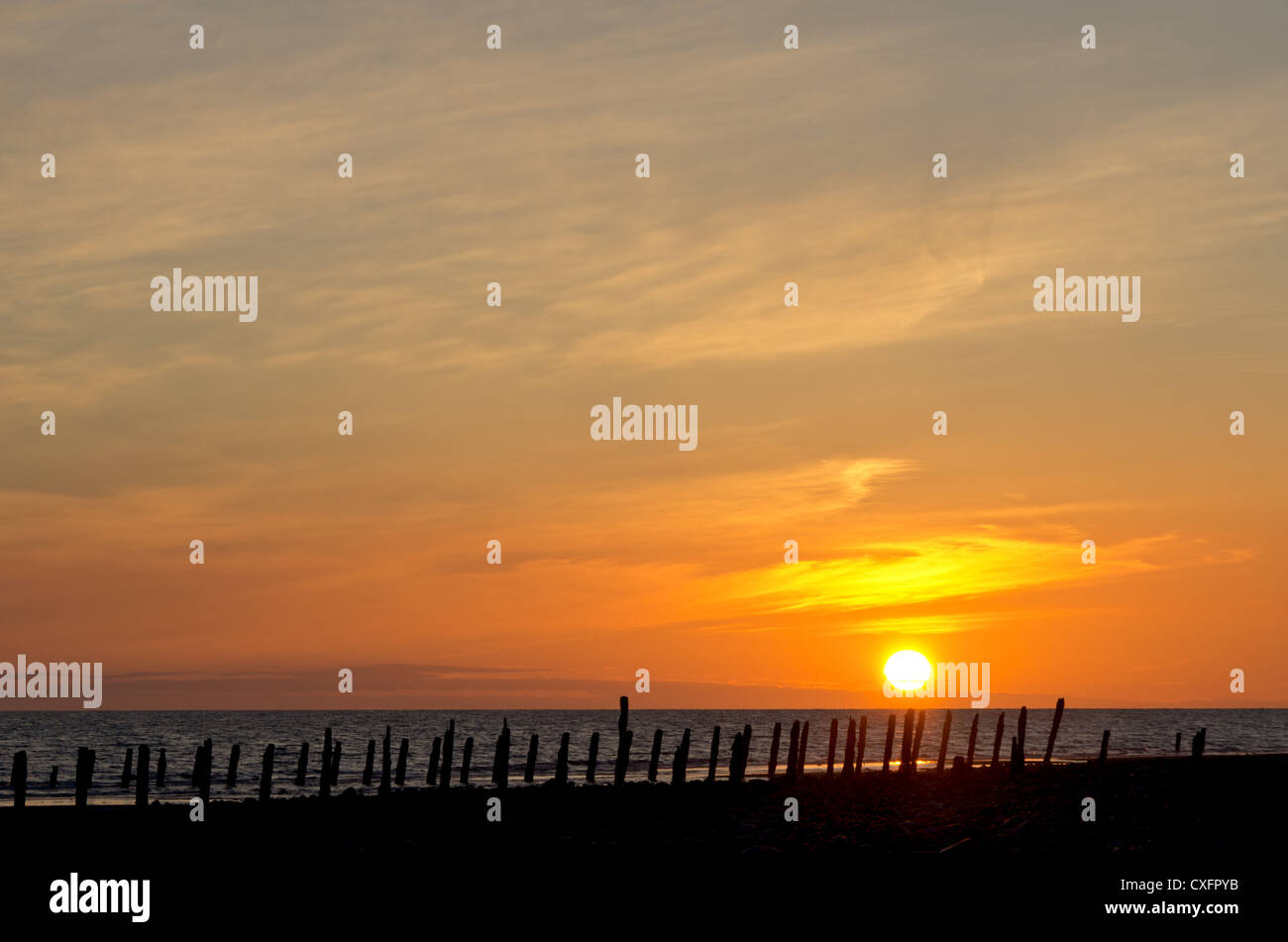 Line wooden poles hi-res stock photography and images - Alamy