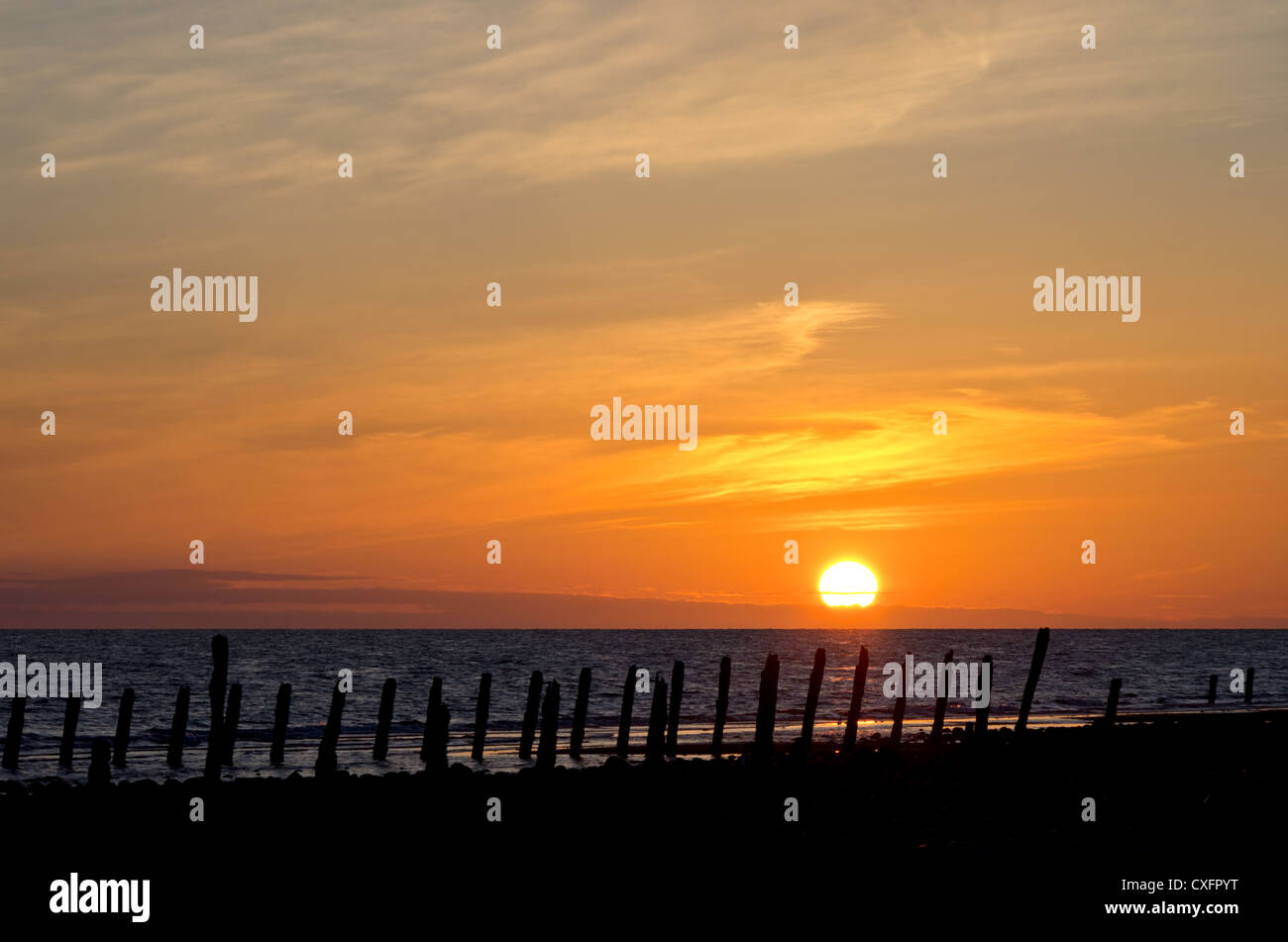Line wooden poles hi-res stock photography and images - Alamy