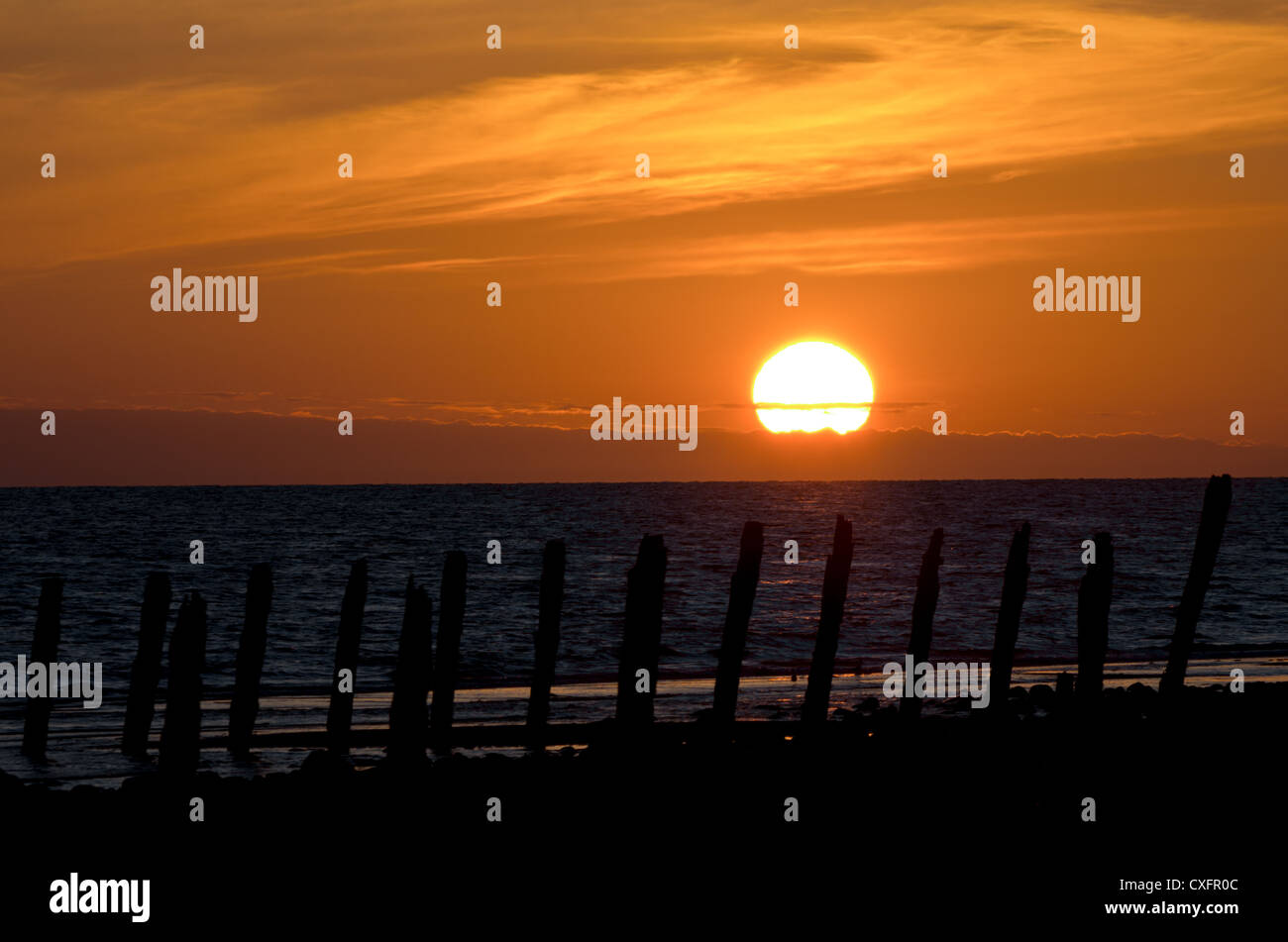 Horizontal composition. A sunset in the sea. Sun sinking in a low thin ...