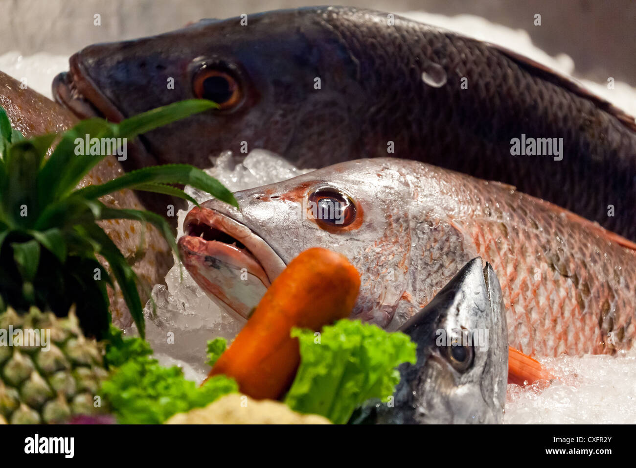 Fisch in eis hi-res stock photography and images - Alamy