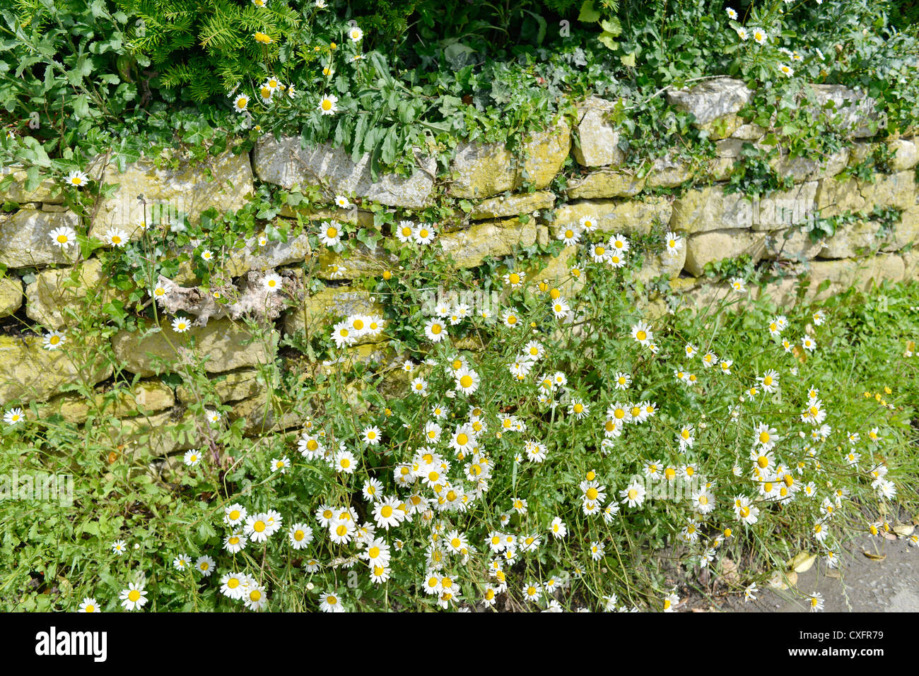 house high street stanton cotswolds gloucestershire uk Stock Photo - Alamy