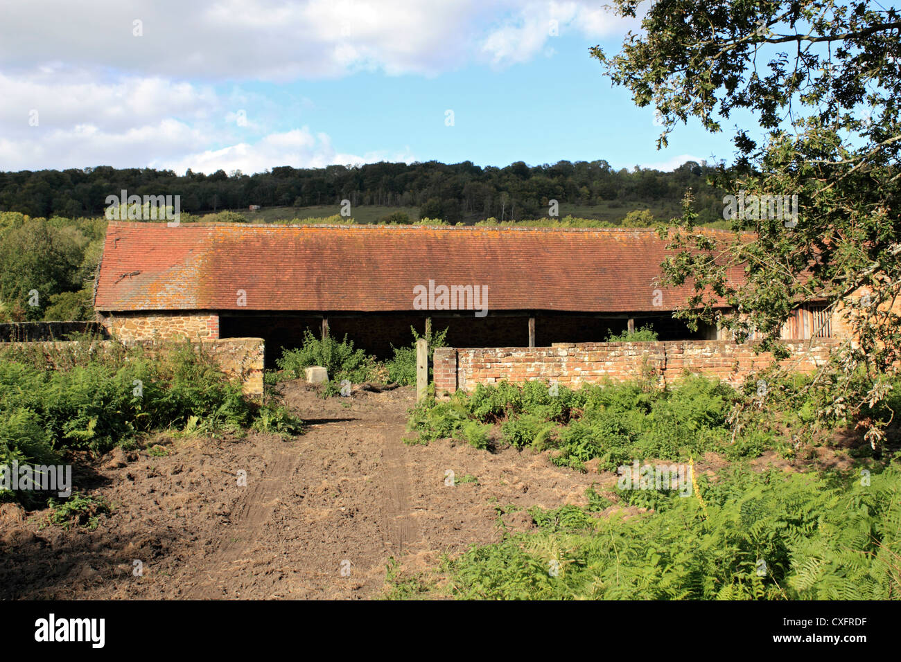 Ancient barn at Abinger Roughs, nr Abinger Hammer Surrey England UK ...
