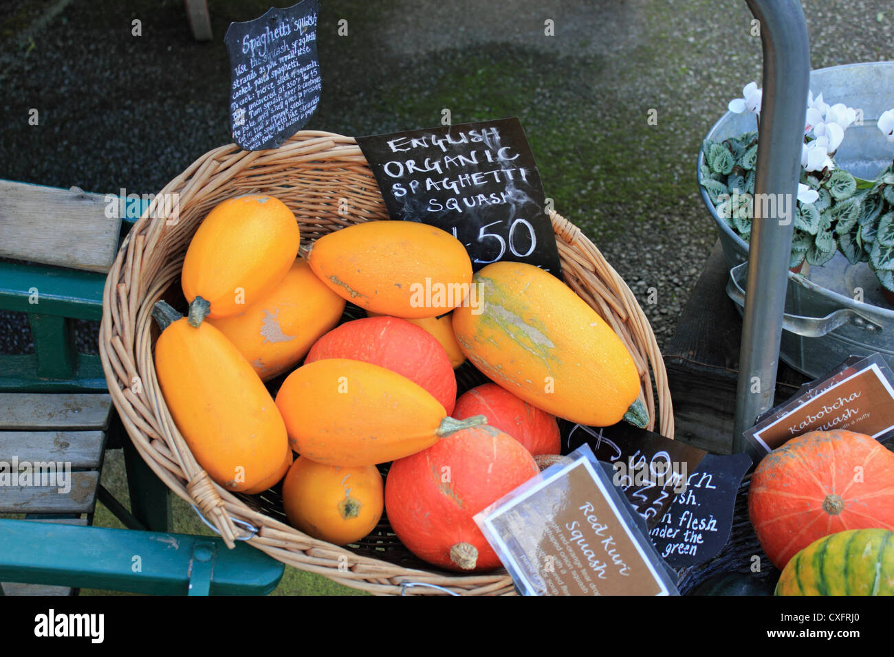 English squash hi-res stock photography and images - Alamy