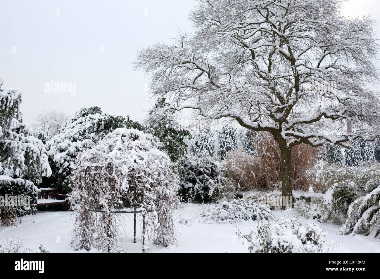 Winterbourne Botanic Garden University of Birmingham Great Britain in ...