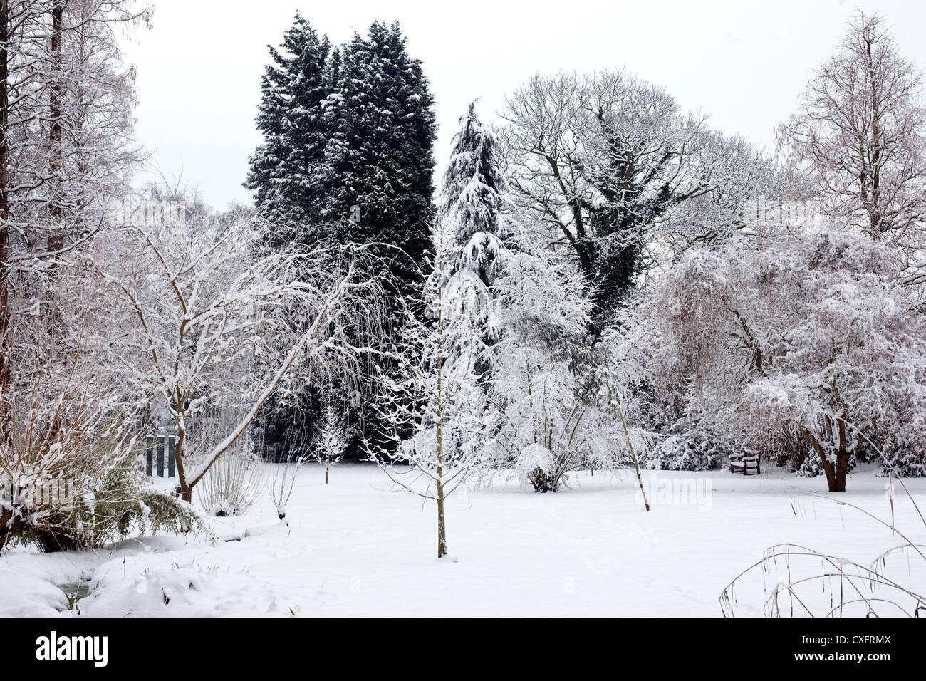 Winterbourne Botanic Garden University of Birmingham Great Britain in ...