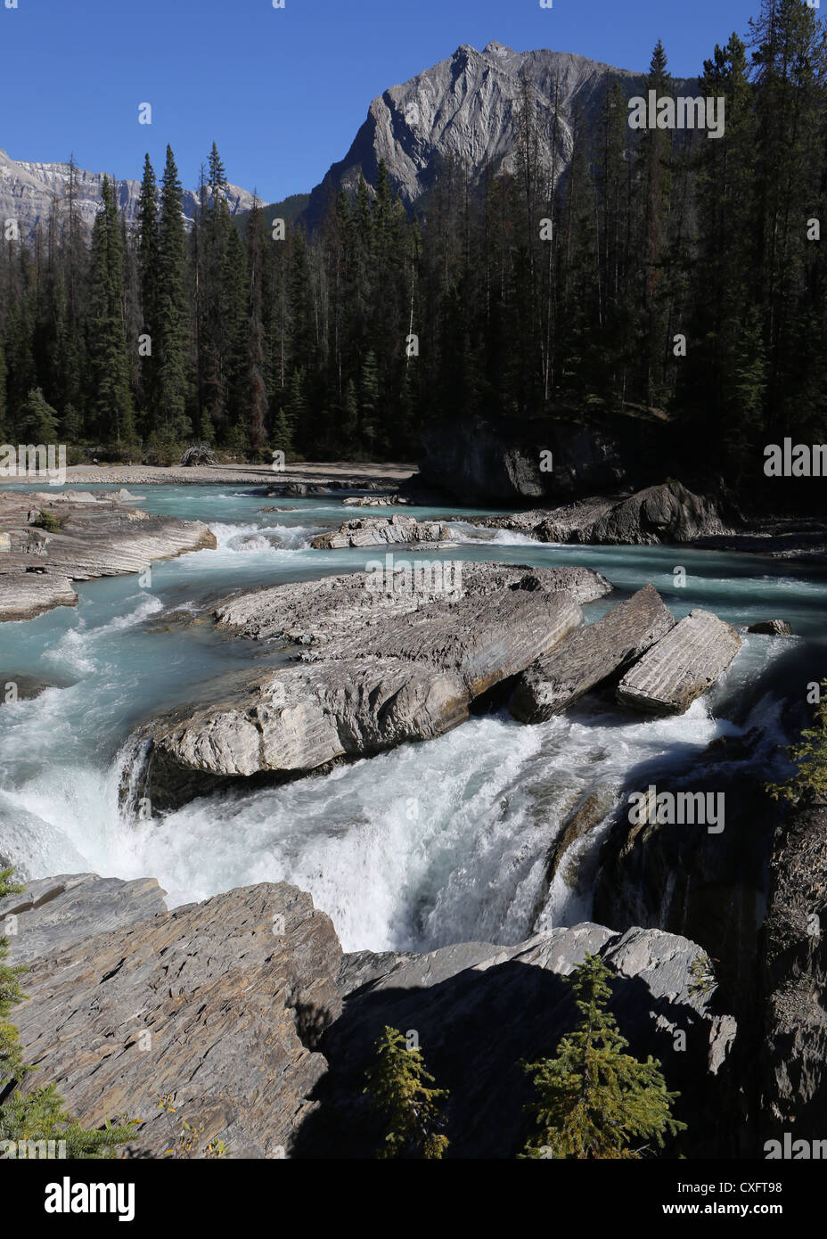 Natural Bridge, a rock formation that spans the Kicking Horse River in ...