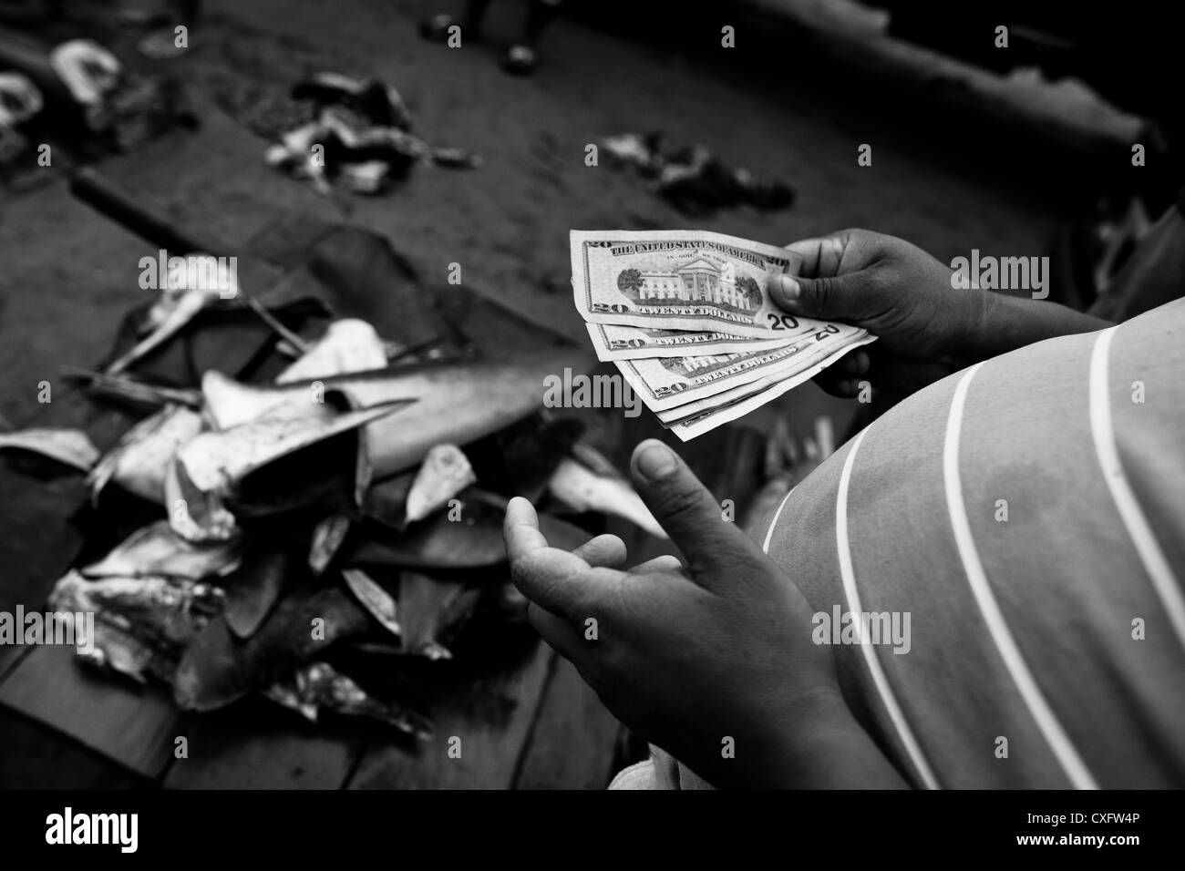 A shark fin buyer looks at a pile of shark fins on the beach of Manta ...