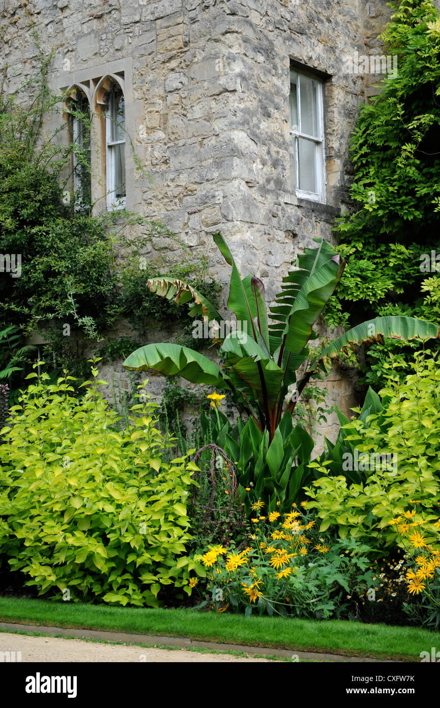 Borders with a banana tree alongside the Medieval Cottages at Worcester ...