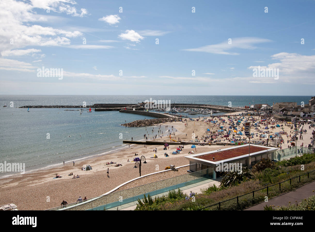 Devon dorset border hi-res stock photography and images - Alamy