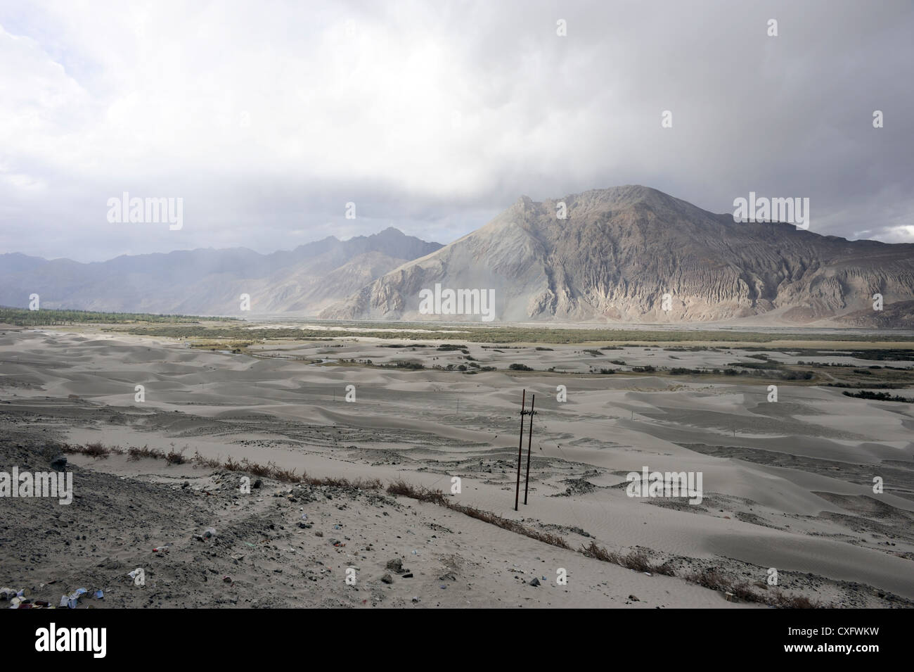 Sand dunes at Hundar in the Shyok valley in the north east of Ladakh ...