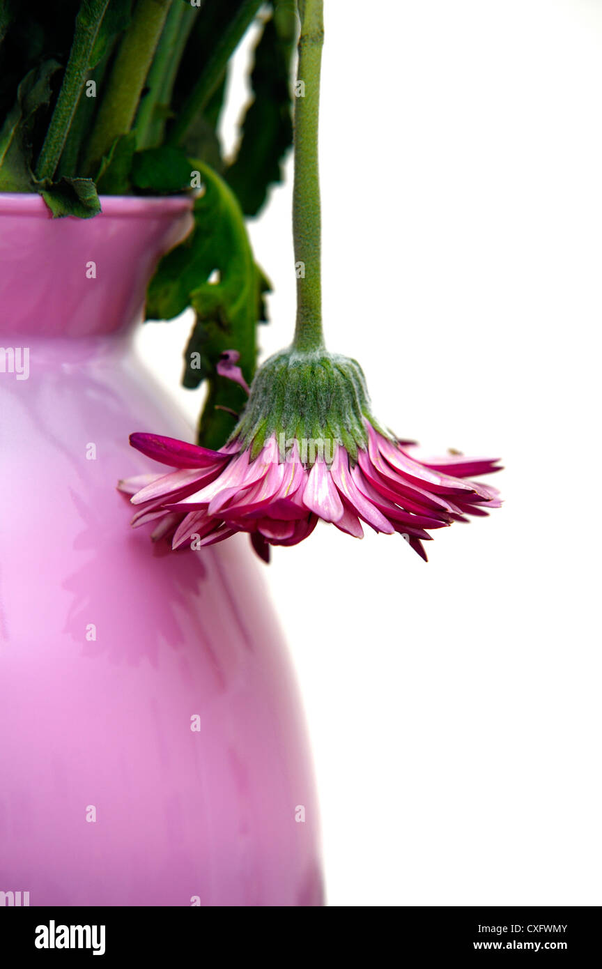 Wilting flower hi-res stock photography and images - Alamy