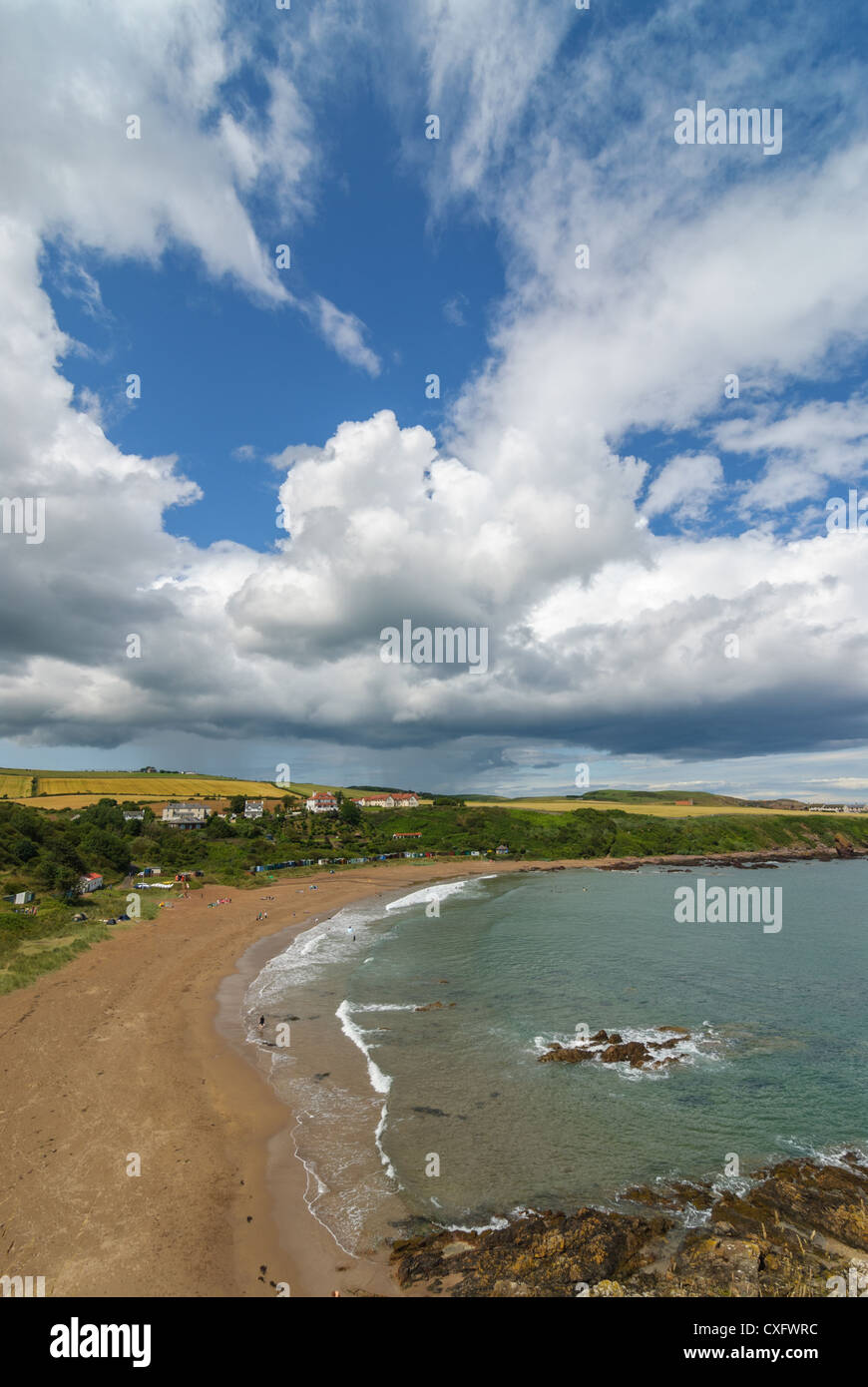 Beach at coldingham bay hi-res stock photography and images - Alamy