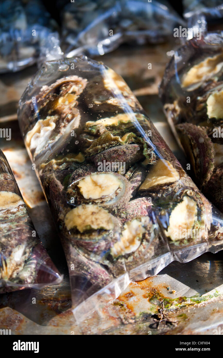 Packed Seafood in a Plastic Bag on a Market at Rawai Beach on Phuket ...