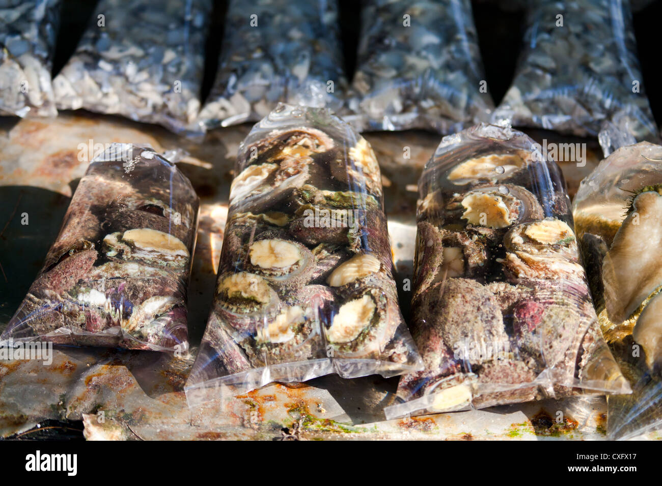 Packed Seafood in a Plastic Bag on a Market at Rawai Beach on Phuket ...
