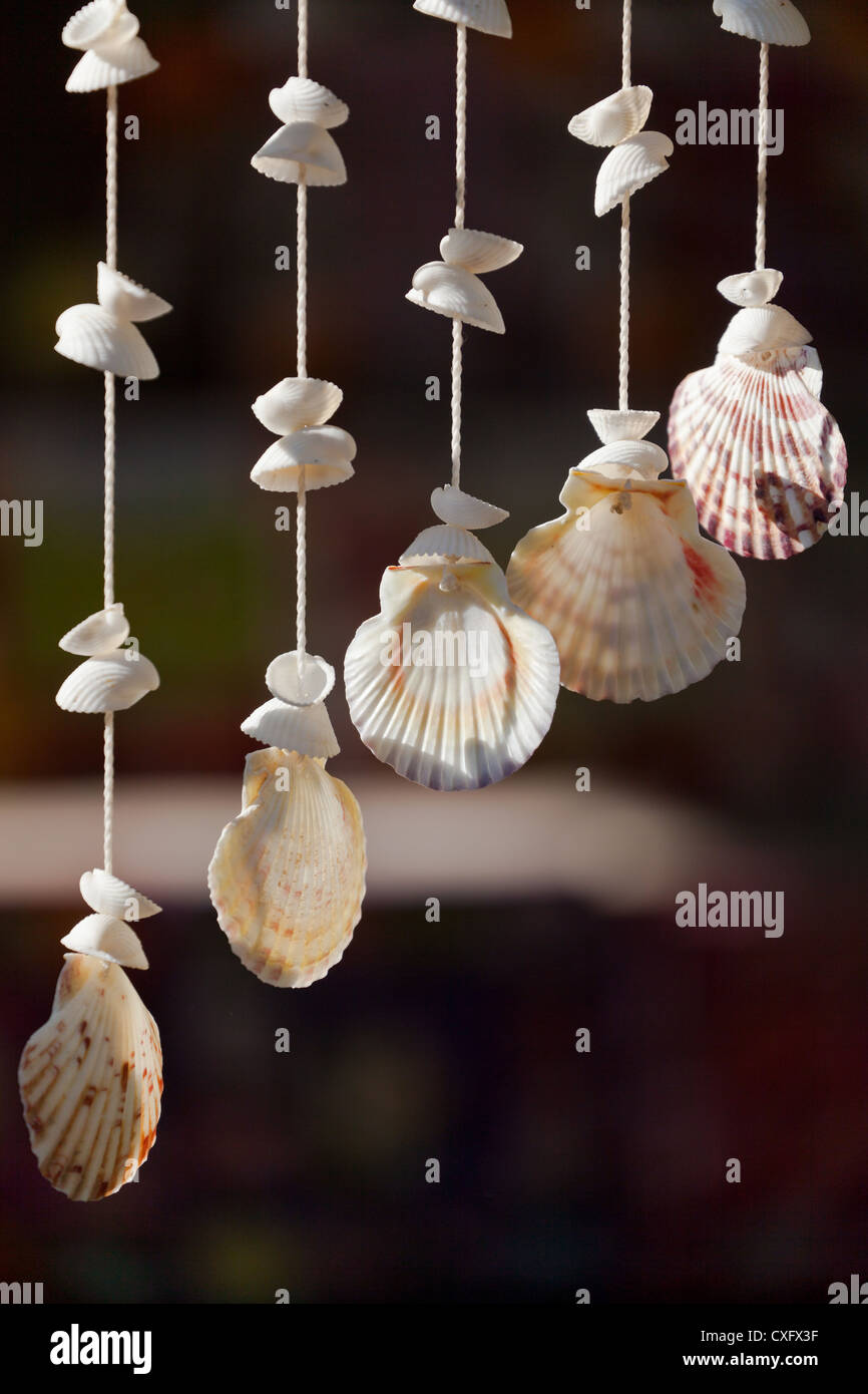 Decorative shell hi-res stock photography and images - Alamy