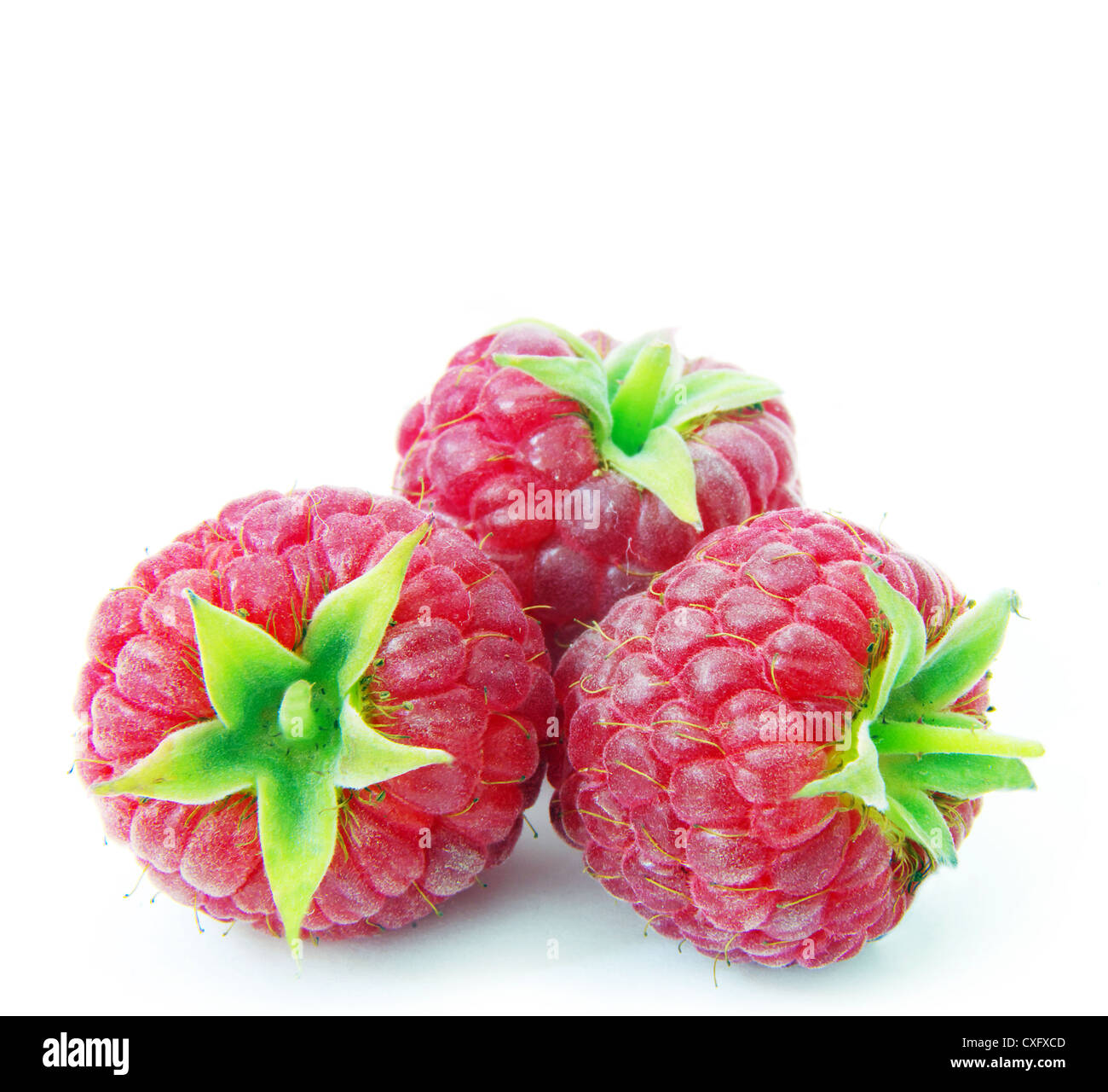 Ripe raspberry isolated on a white background Stock Photo - Alamy