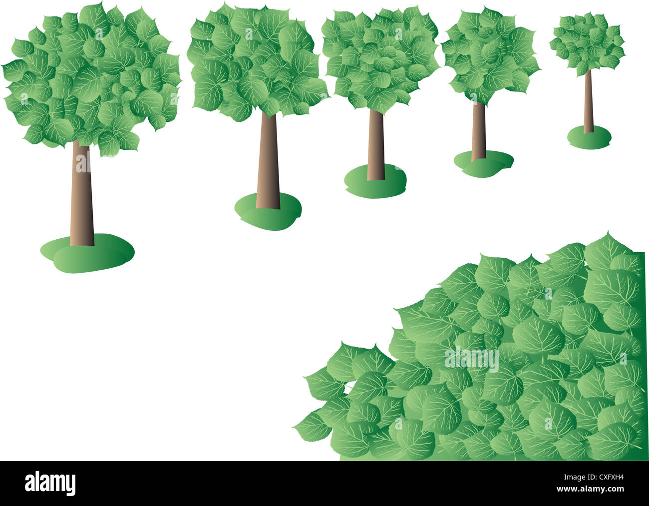 row of trees Stock Photo - Alamy