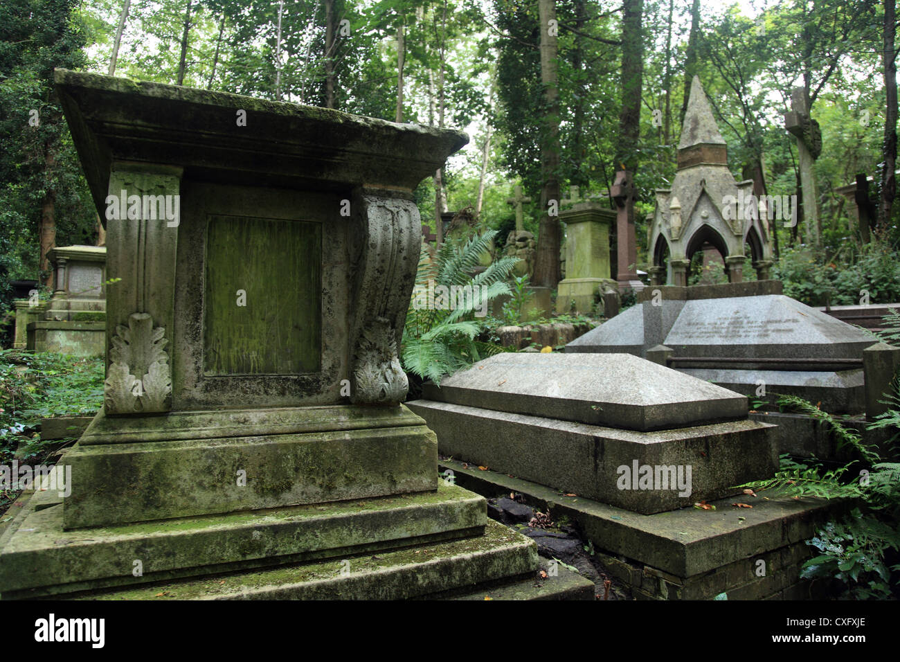 Highgate Cemetery West in London England Stock Photo - Alamy