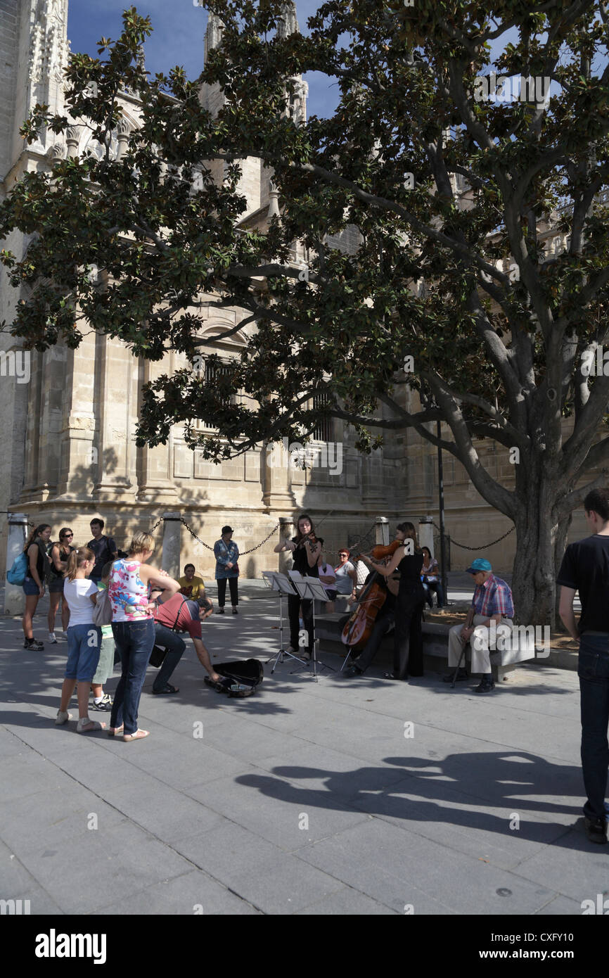 Classical busking hi-res stock photography and images - Alamy