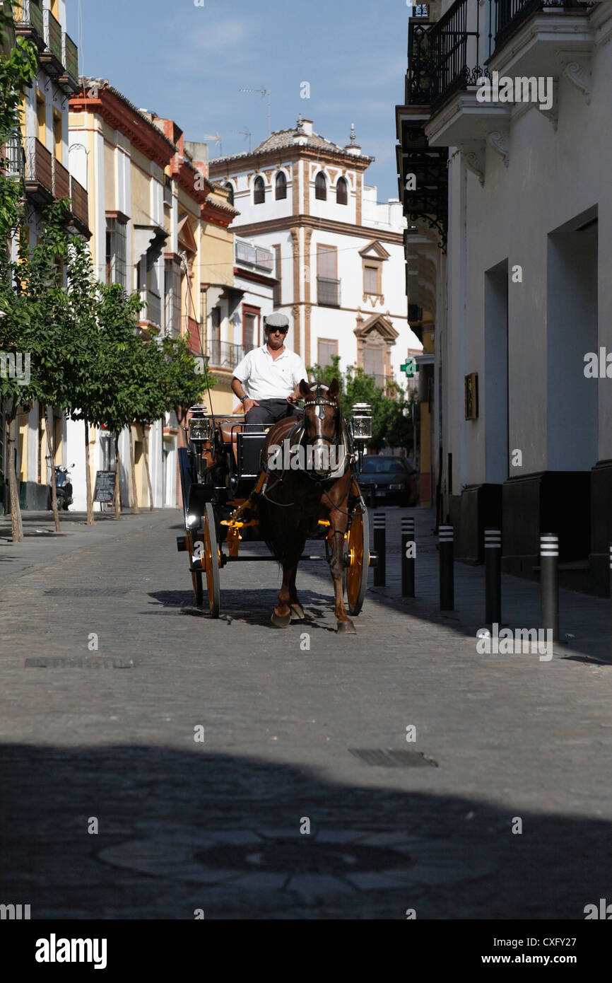 Coach buggy hi-res stock photography and images - Alamy