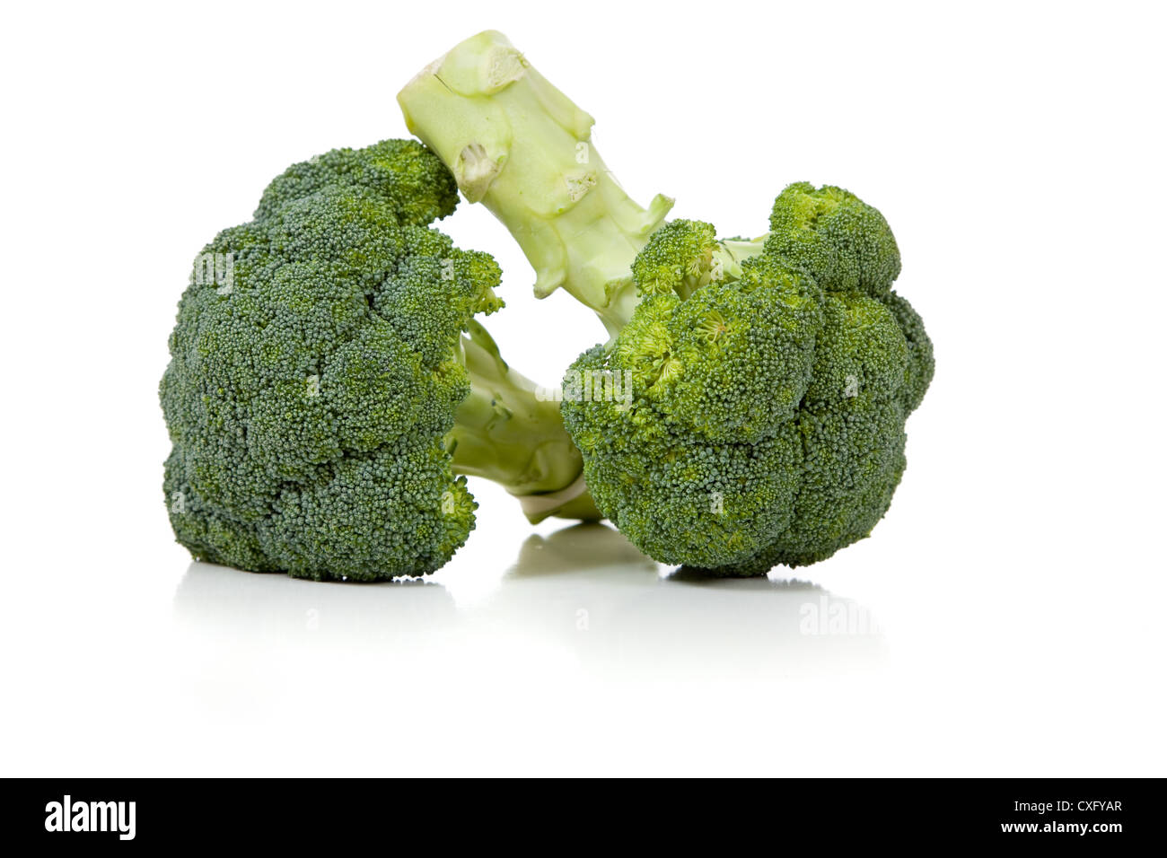 Two heads of broccoli Stock Photo - Alamy