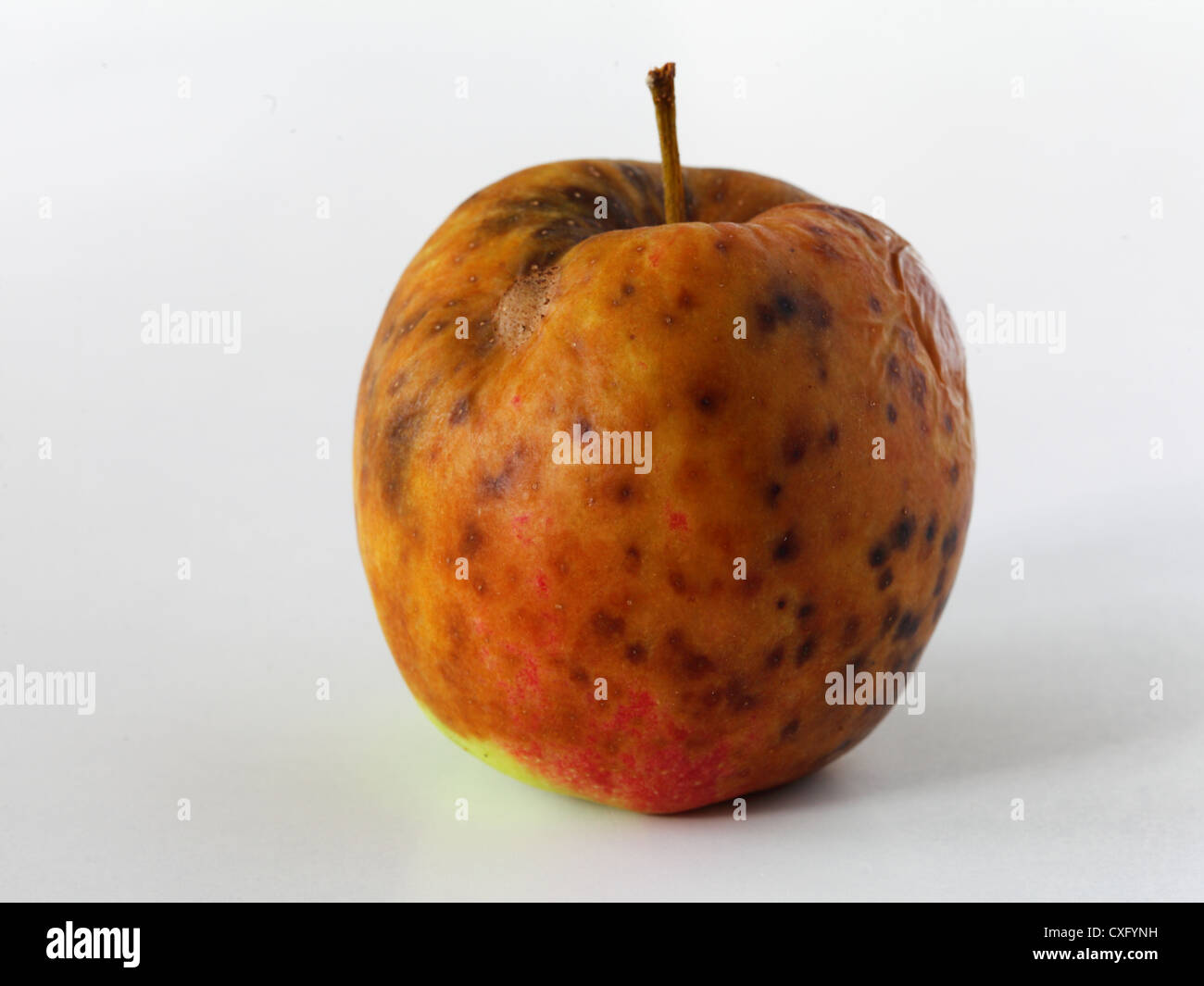 spoiled one bad red apple on white background Stock Photo - Alamy