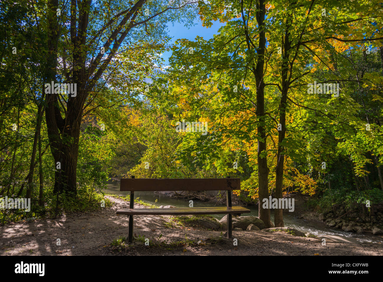 Bench Under Trees High Resolution Stock Photography and Images - Alamy