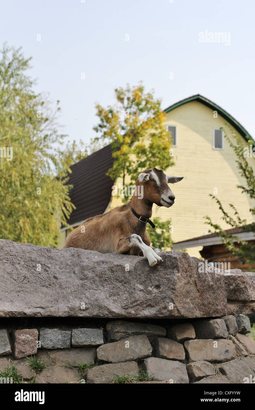 Rock barn farm hi-res stock photography and images - Alamy