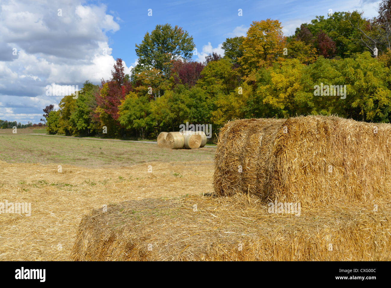 Bails hi-res stock photography and images - Alamy
