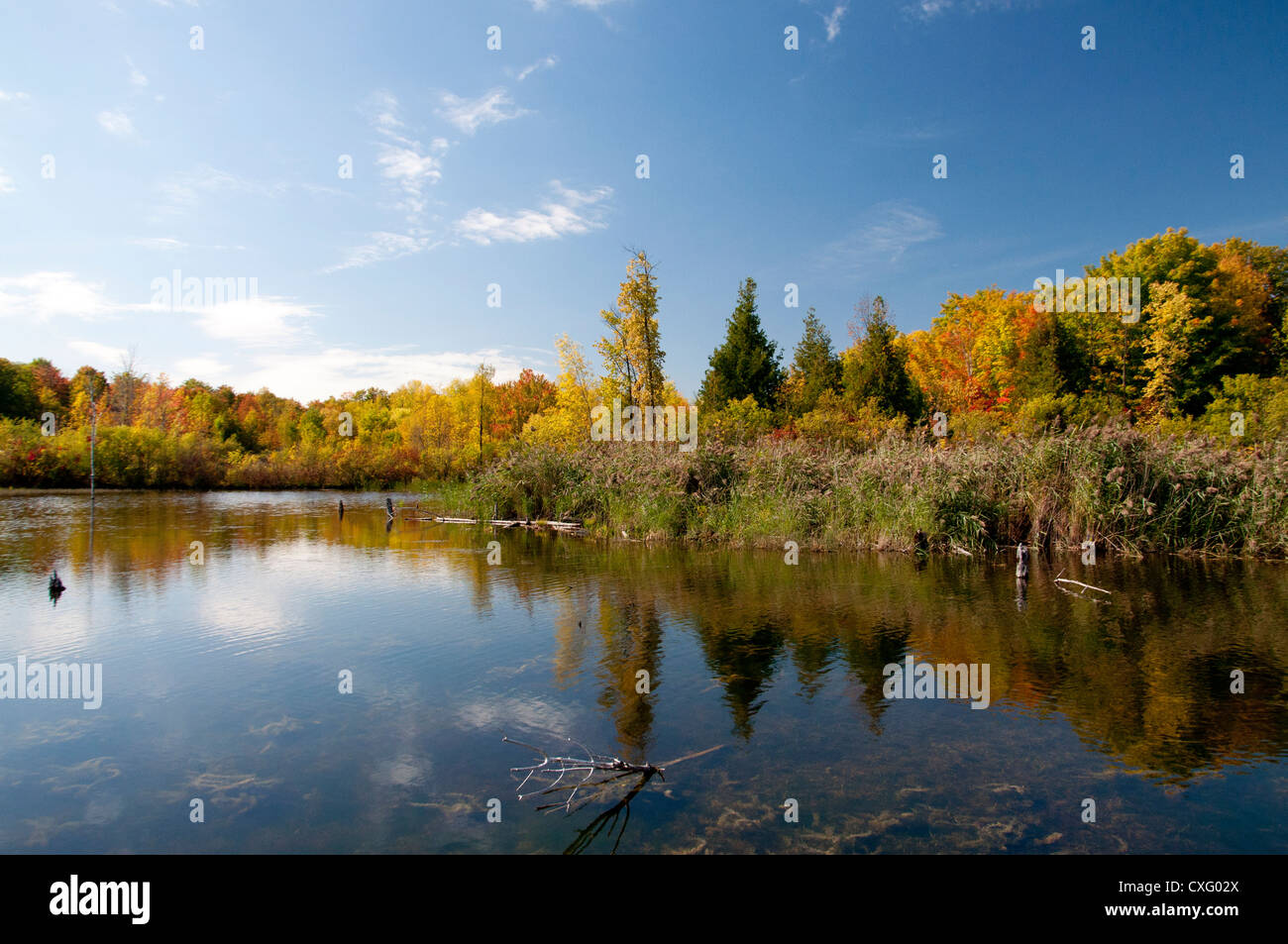Scenic views of the marsh on Ile Bizard Stock Photo - Alamy