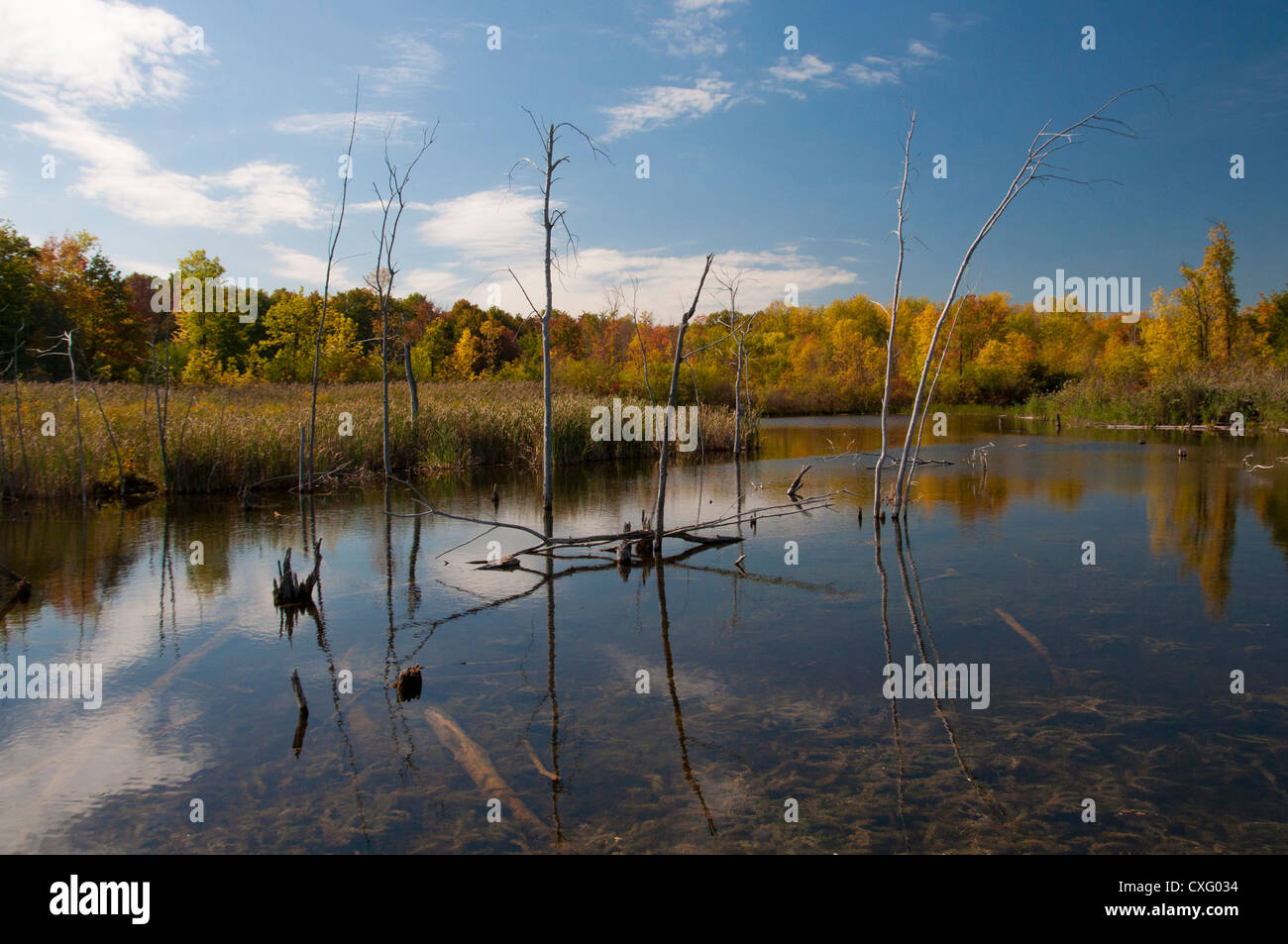Ile bizard hi-res stock photography and images - Alamy