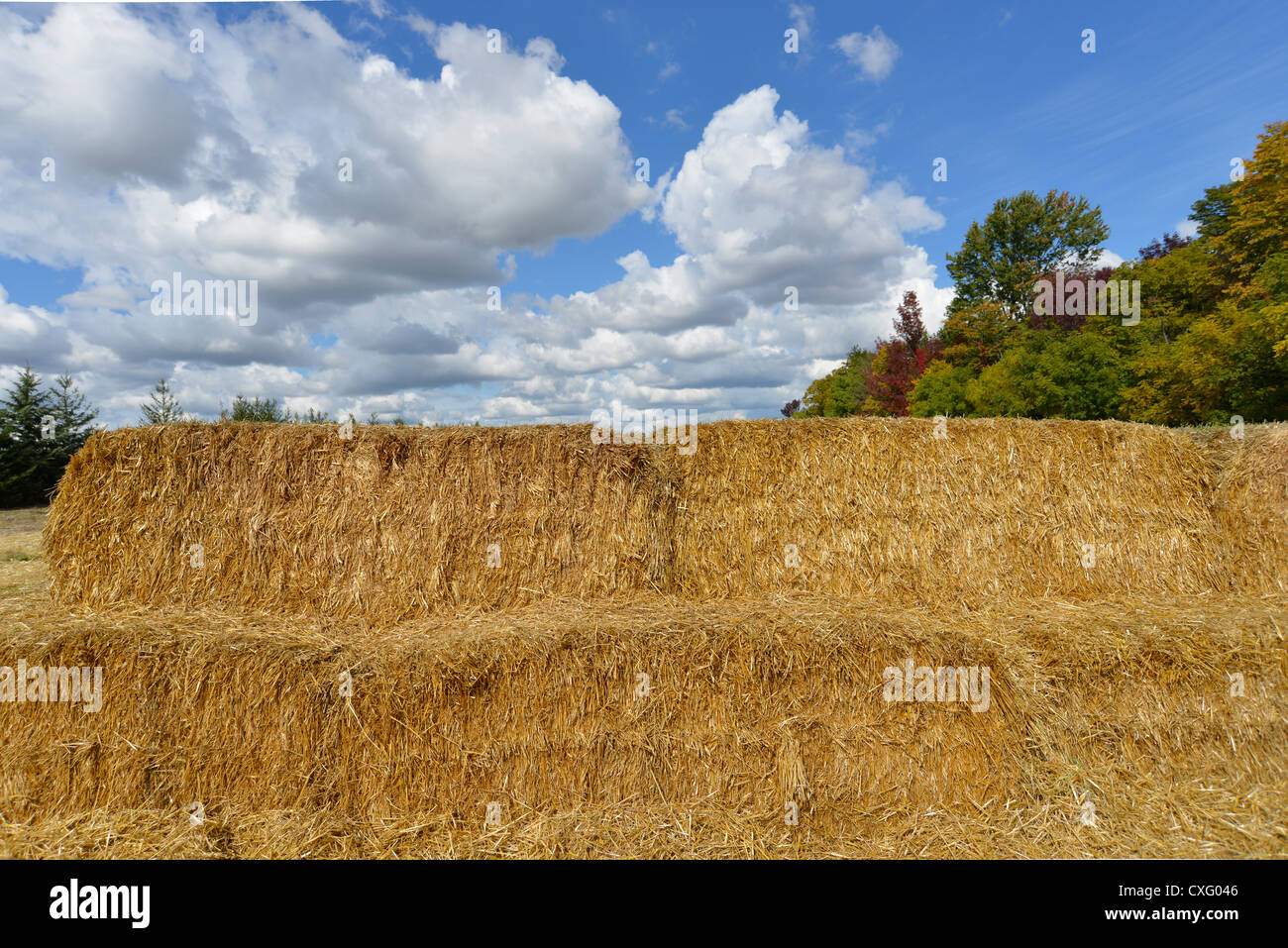 Bails hi-res stock photography and images - Alamy