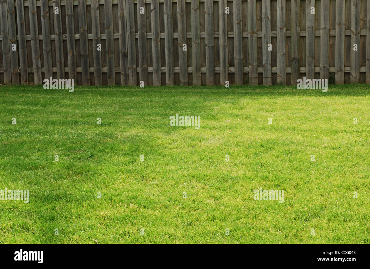 Grass lawn and wooden privacy fence Stock Photo - Alamy