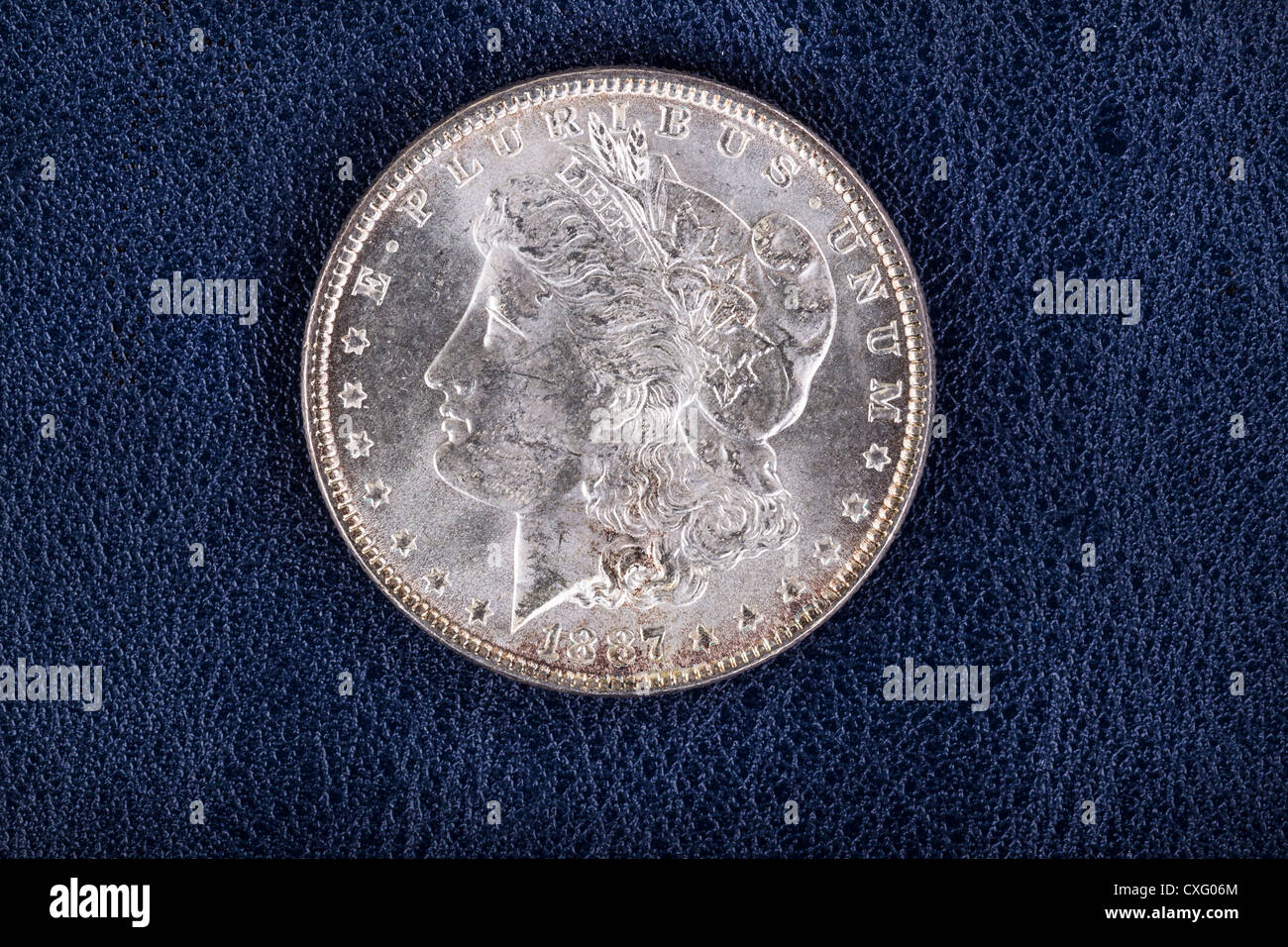 American Silver Dollar on Blue Vinyl Holder background Stock Photo - Alamy