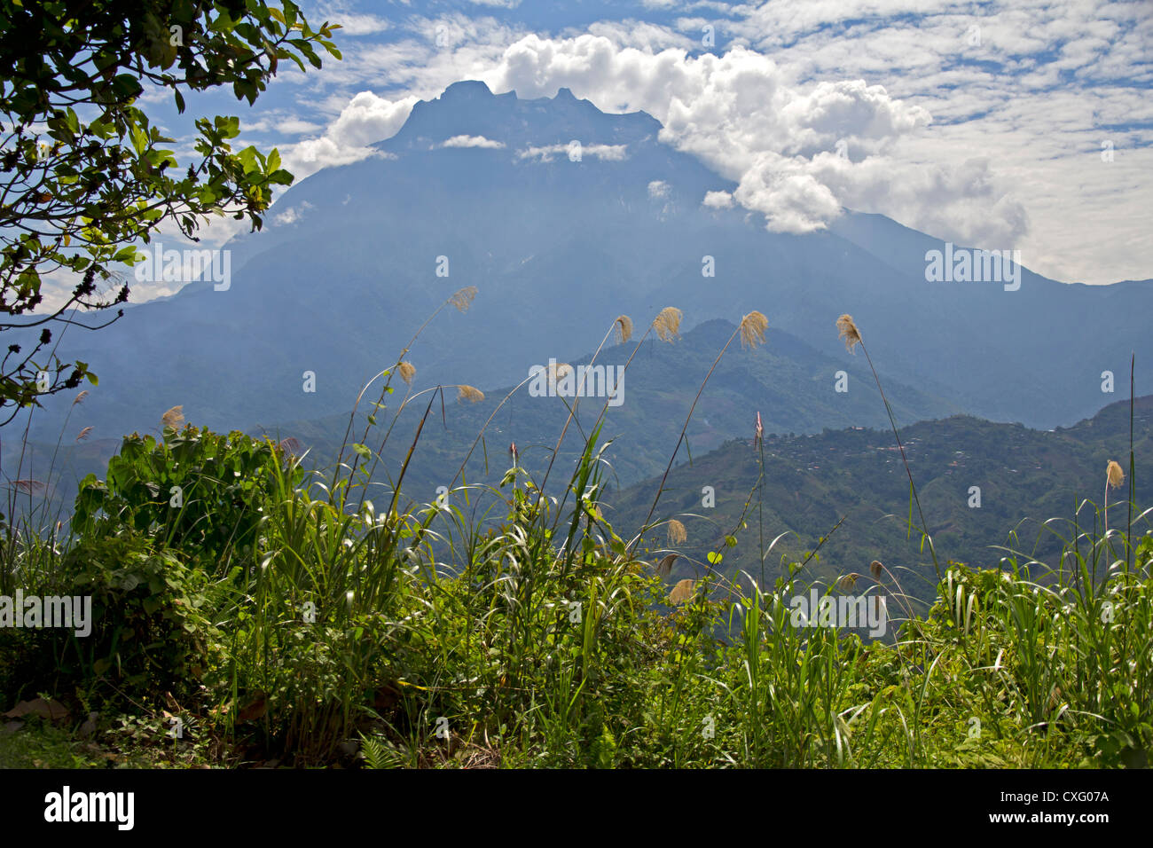 Mount Kinabalu Jungle Sabah High Resolution Stock Photography and ...