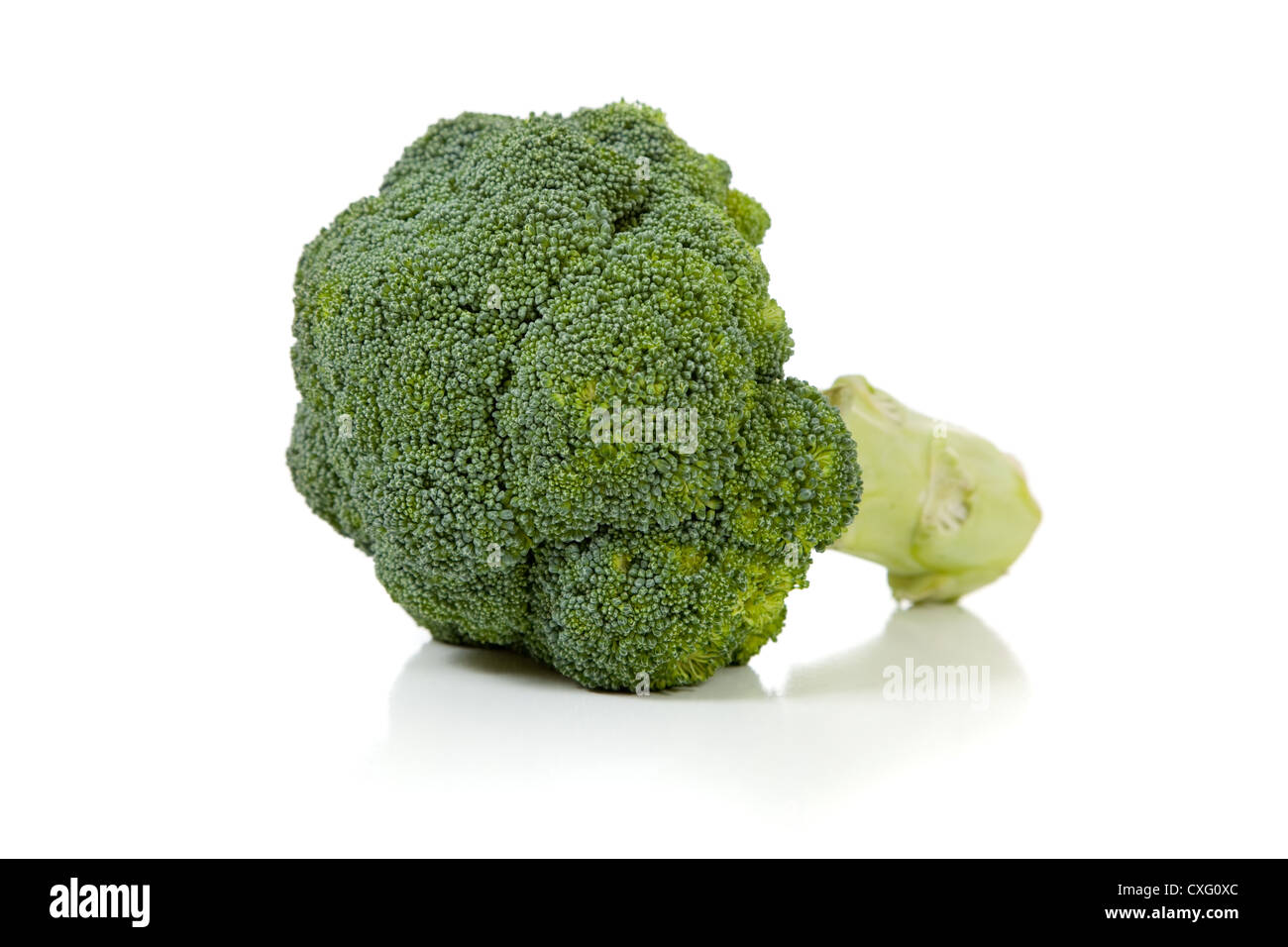 Large broccoli head Stock Photo - Alamy