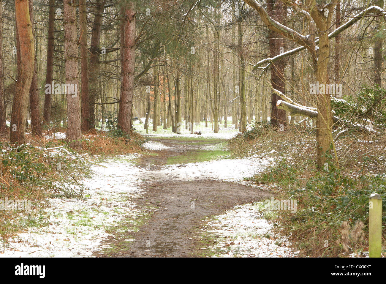 First snows of winter Stock Photo - Alamy