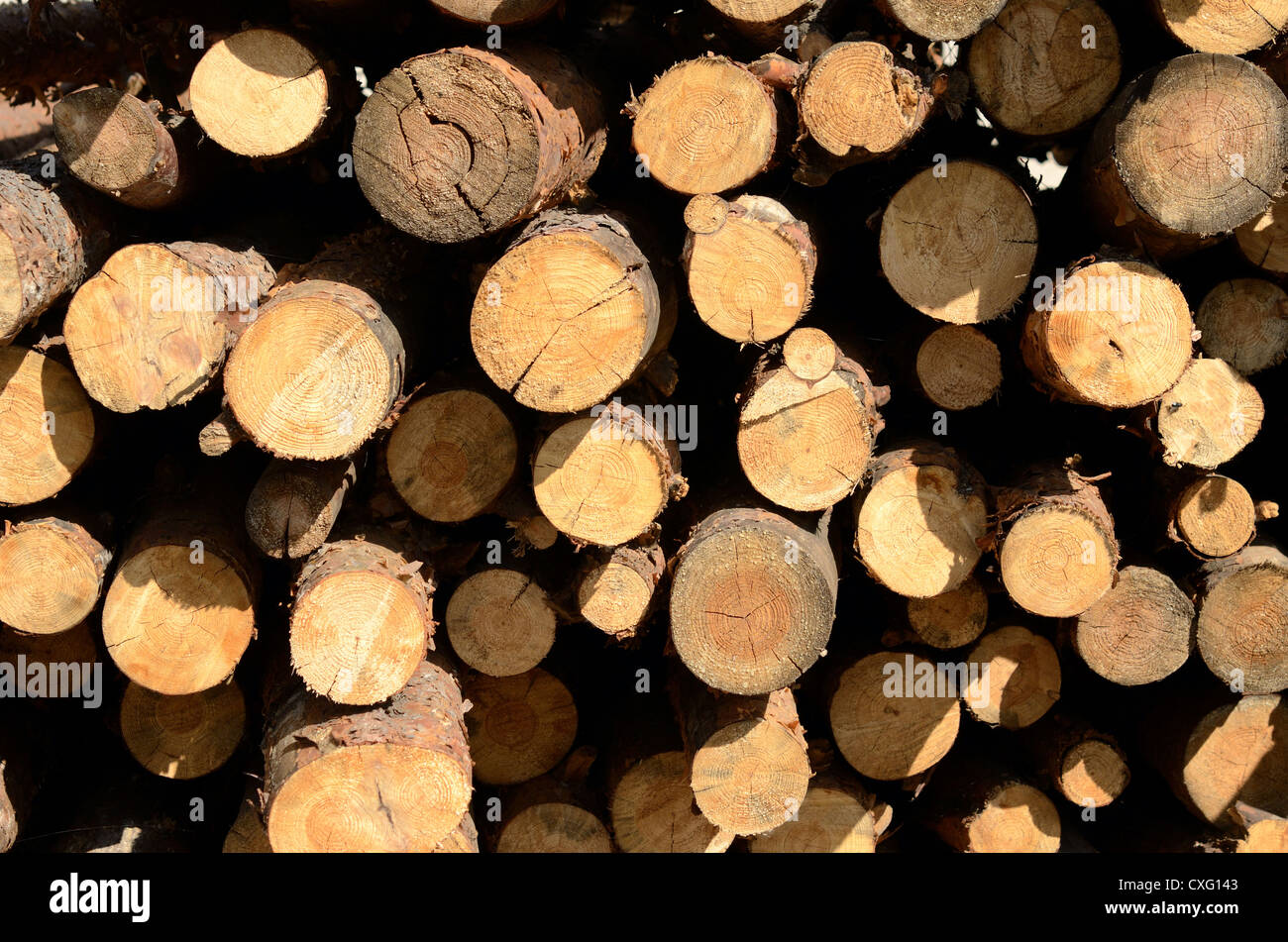 chopped log background Stock Photo - Alamy