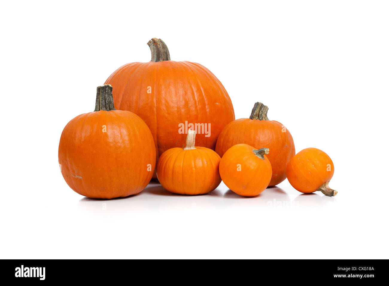 Group of multisized pumpkins Stock Photo - Alamy