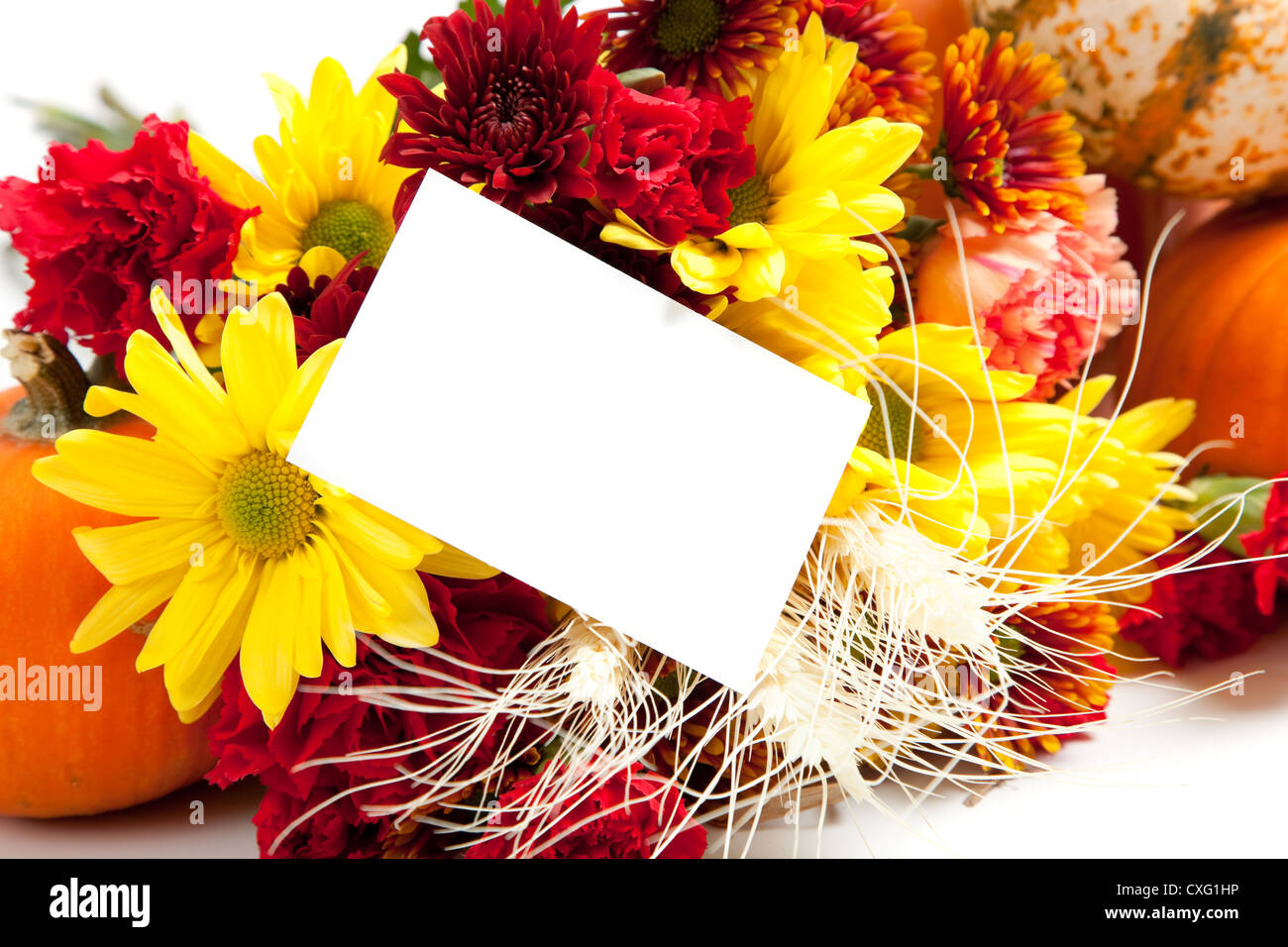 Fall or autumn flowers and decoration with a blank card for copy Stock ...