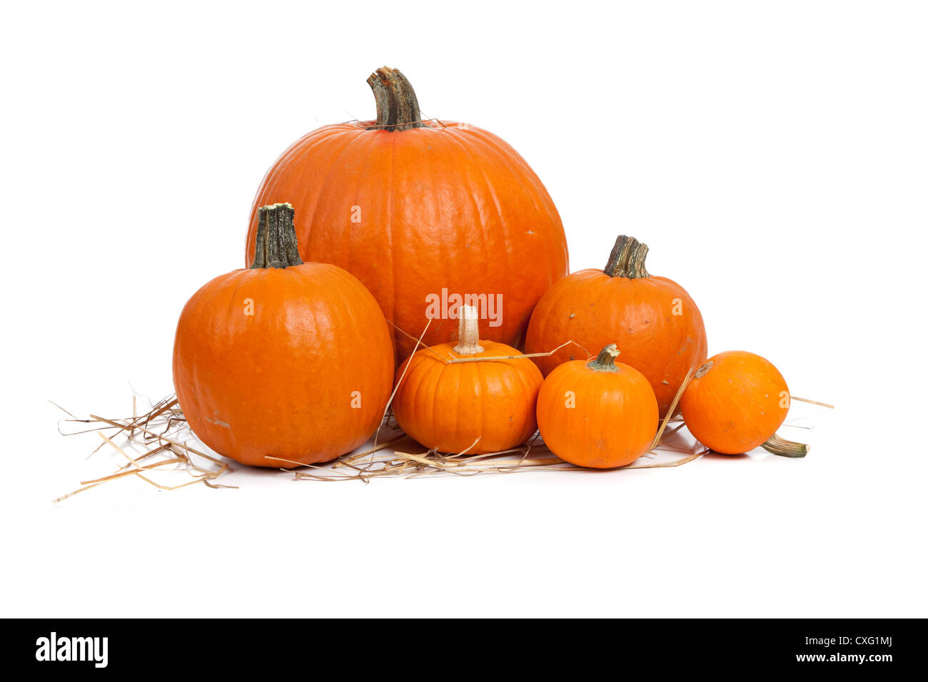 All size pumpkins Cut Out Stock Images & Pictures - Alamy
