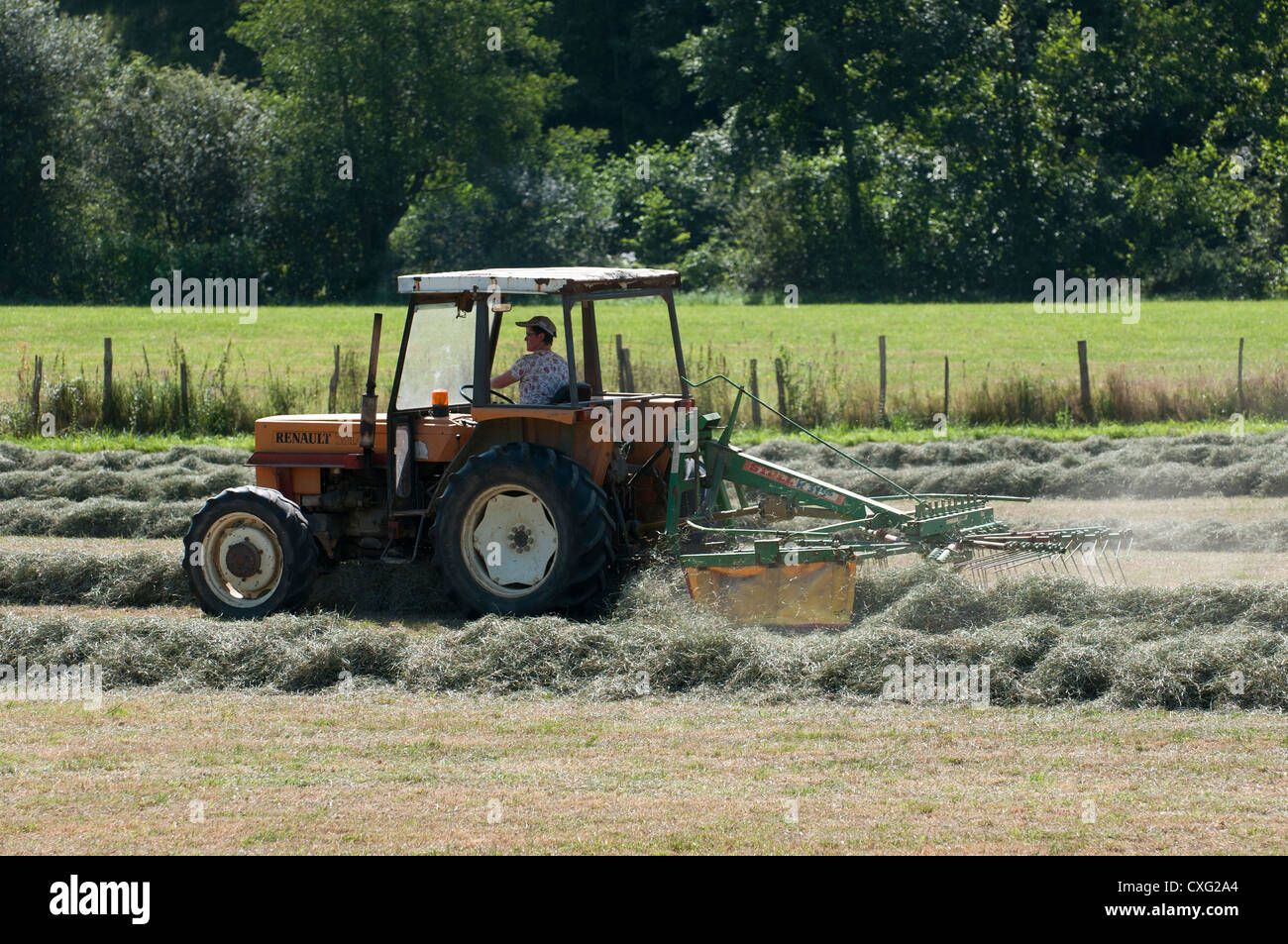 Hay making southwest France Stock Photo - Alamy