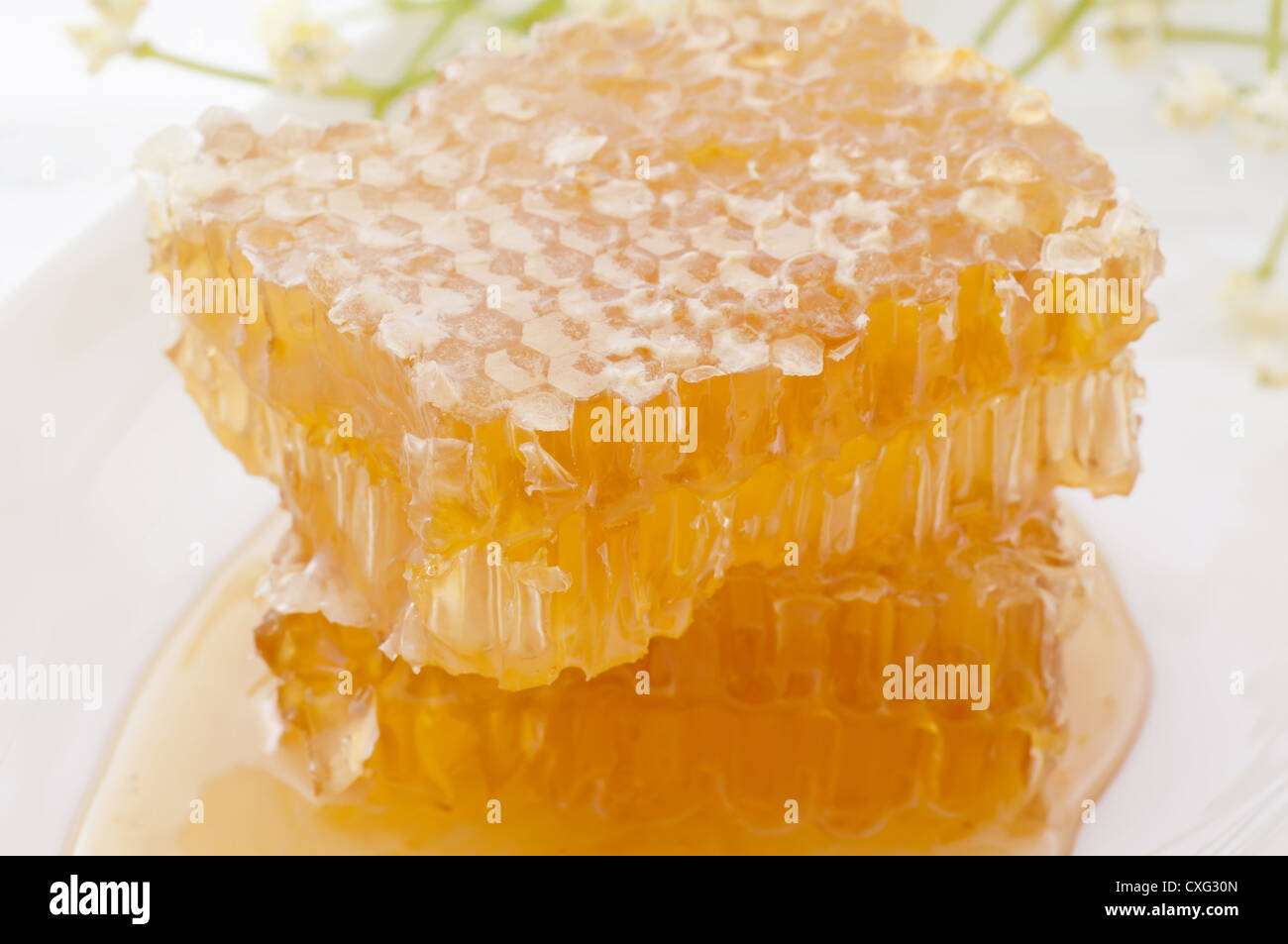 Piece of a honeycomp with dripping honey as closeup Stock Photo - Alamy