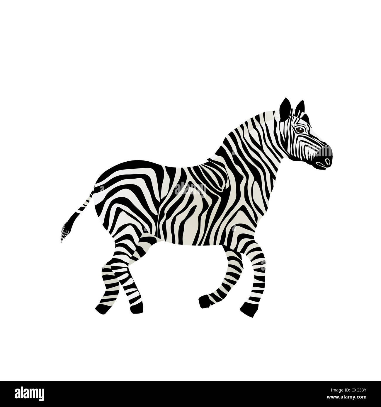 Illustration of a running zebra over white background Stock Photo - Alamy