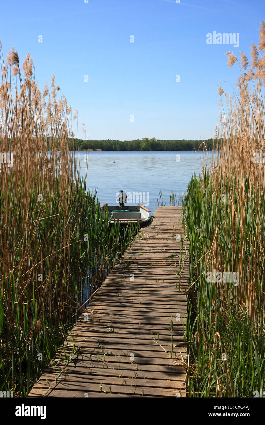 Teupitz, web and reeds on the shore at Teupitzsee Stock Photo - Alamy