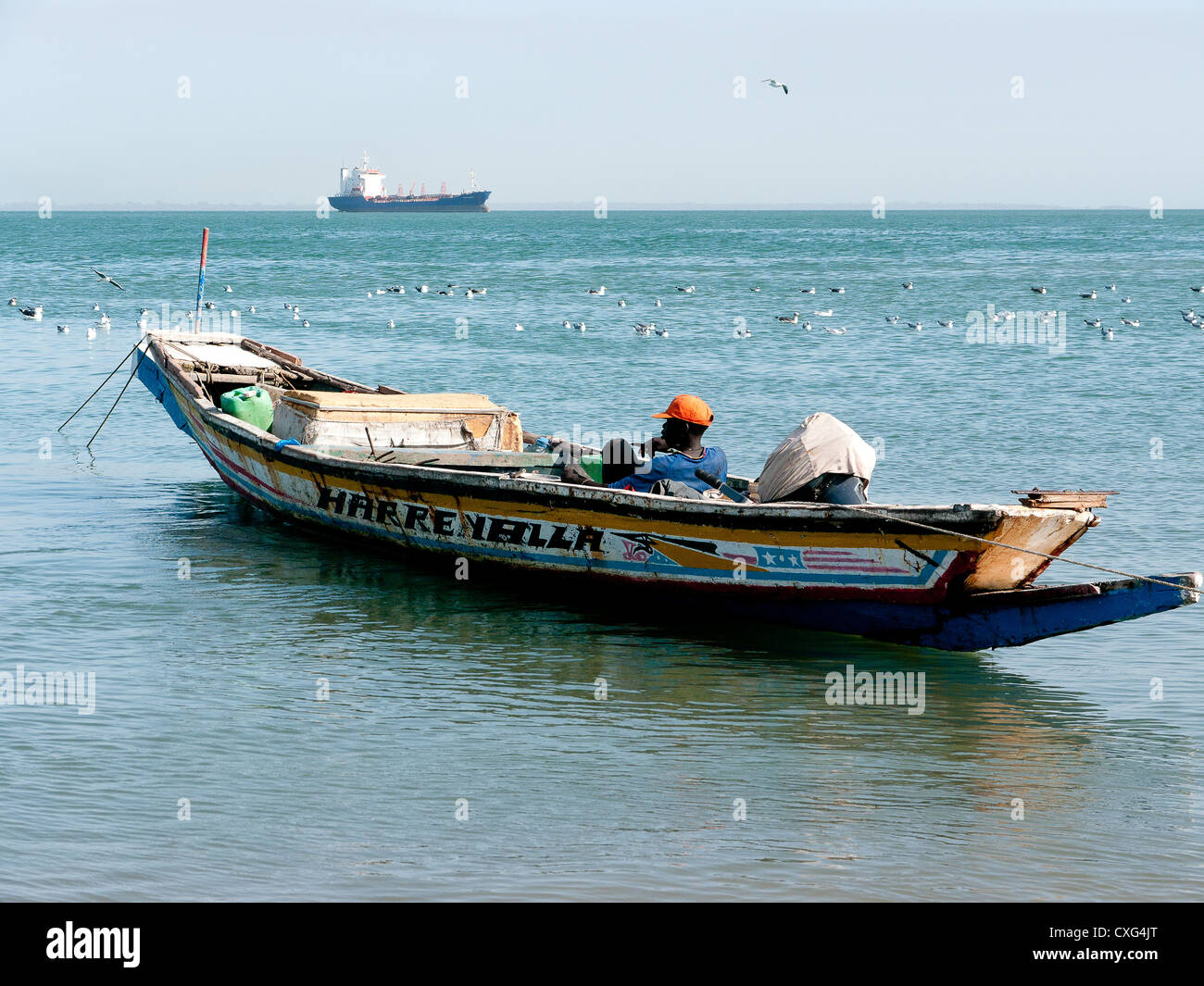 Man in a Oysters fishing boats at Denton Bridge, The Gambia, West ...