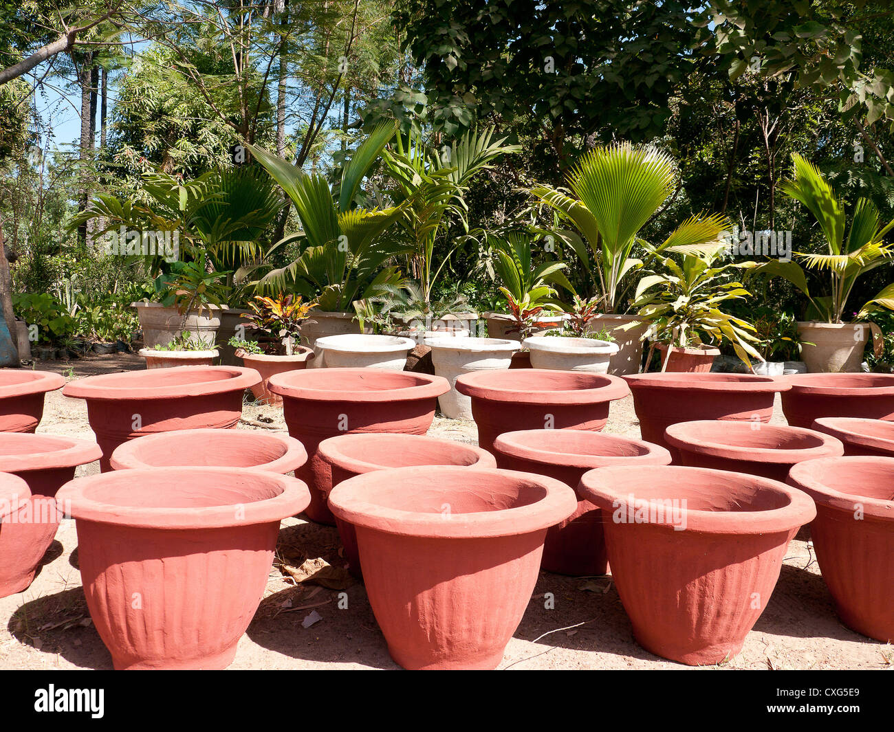 Where To Buy Nice Flower Pots In Singapore at Irene Troyer blog