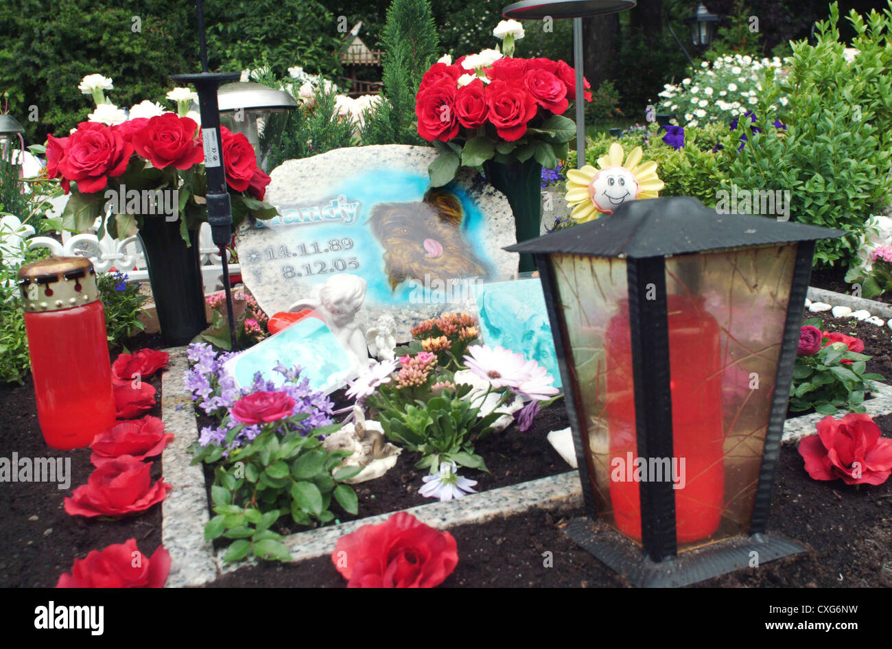Berlin, dogs grave in a pet cemetery Stock Photo - Alamy