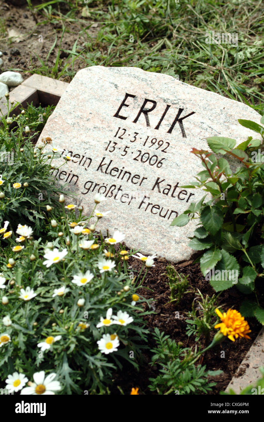 Cats in a cemetery hi-res stock photography and images - Alamy